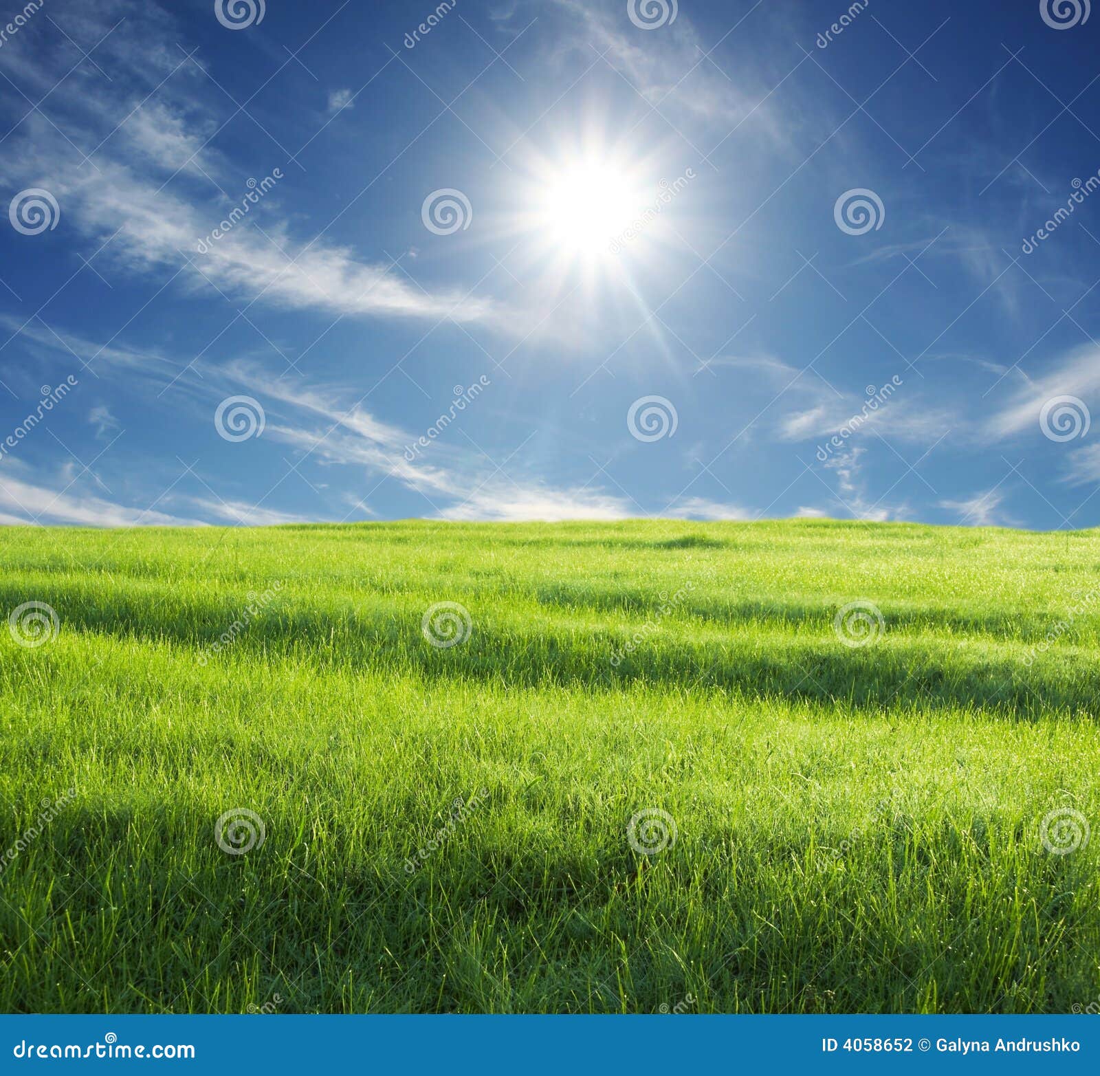 Field and sun stock photo. Image of healthy, pure, green - 4058652