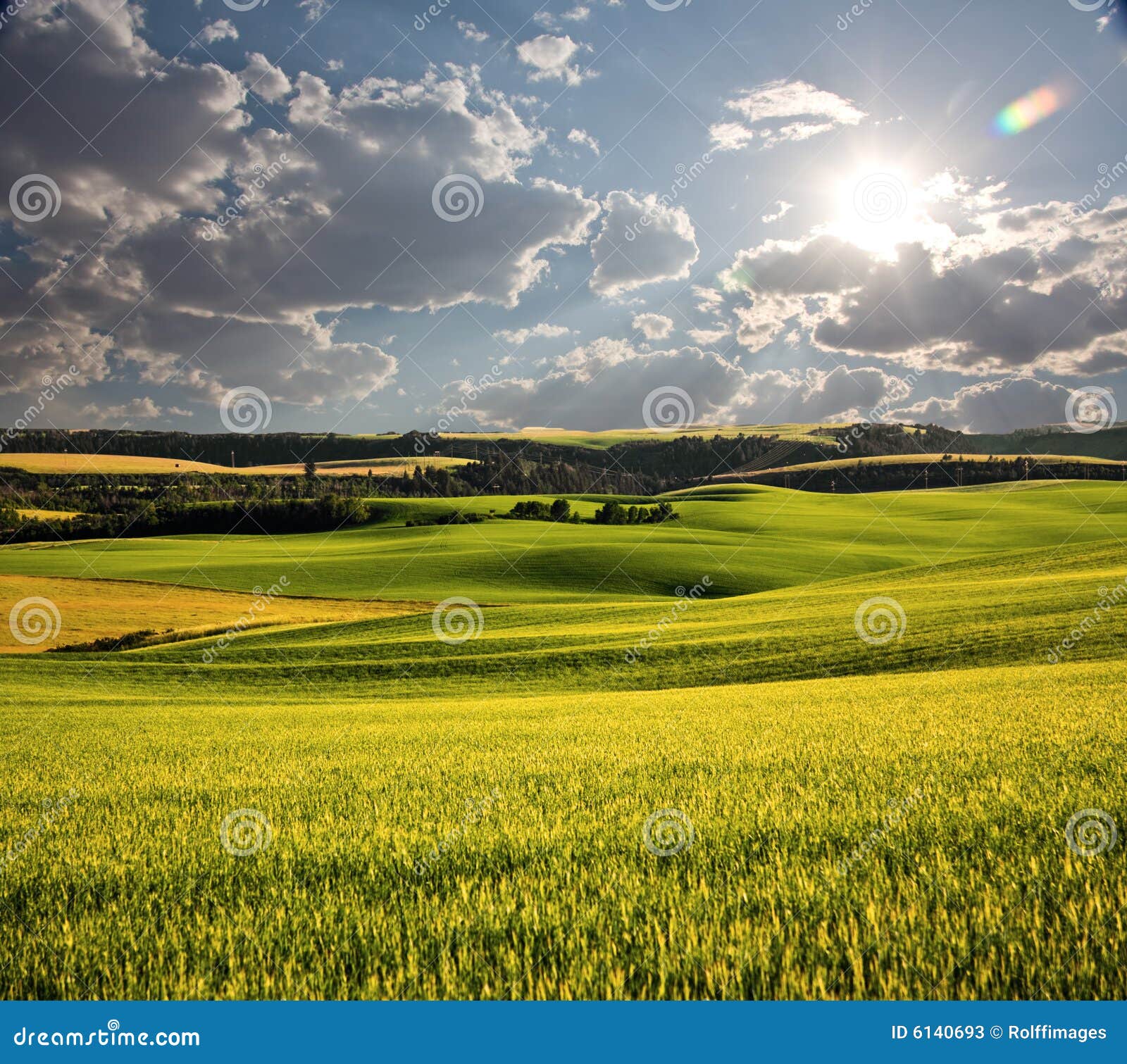 Field and sun stock image. Image of fresh, colorful, countryside - 6140693