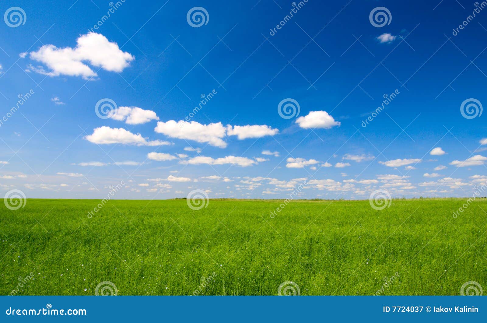 Field and sun stock image. Image of colorful, country - 7724037