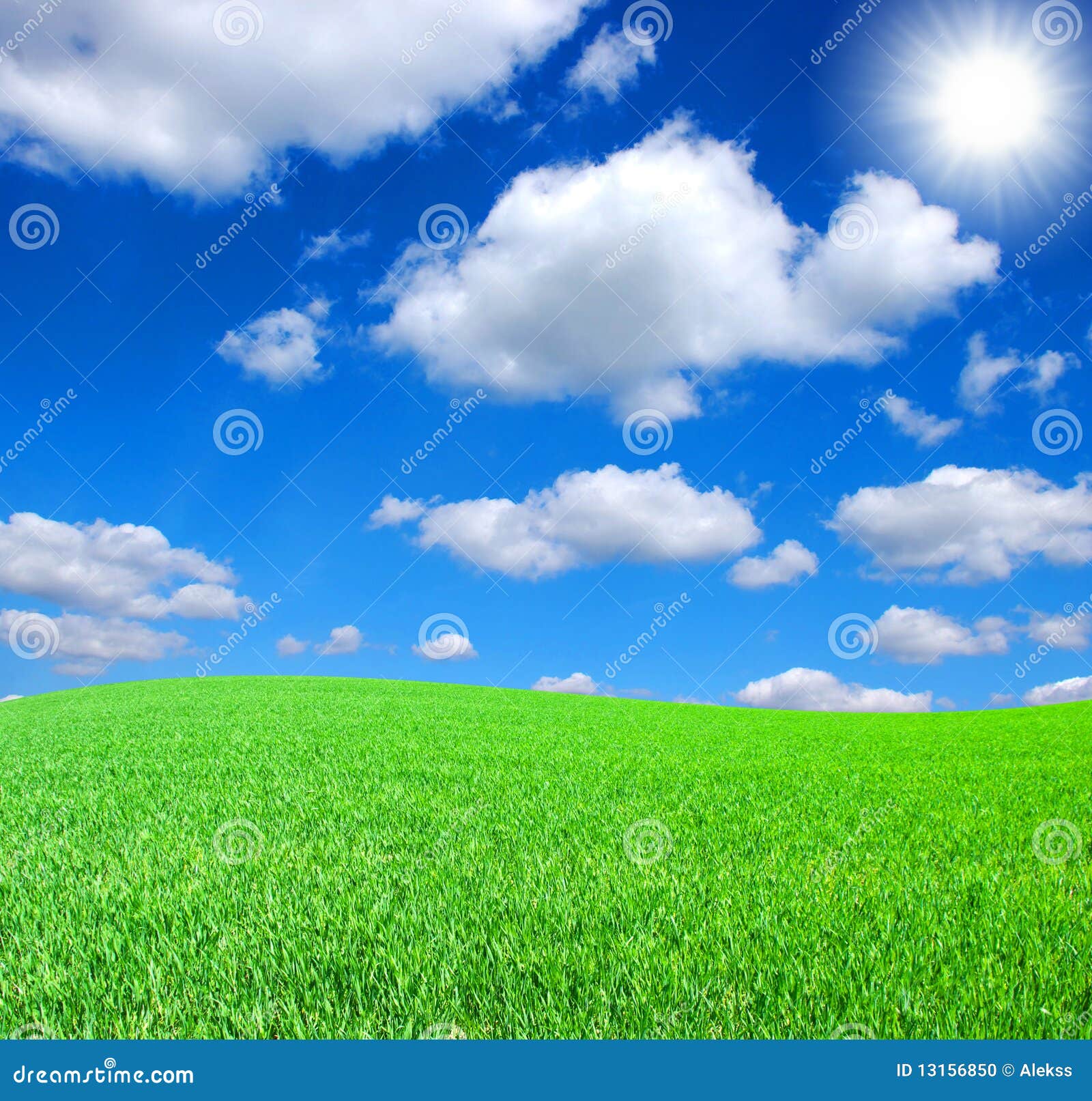 Field and sun sky stock photo. Image of grassland, meadow - 13156850