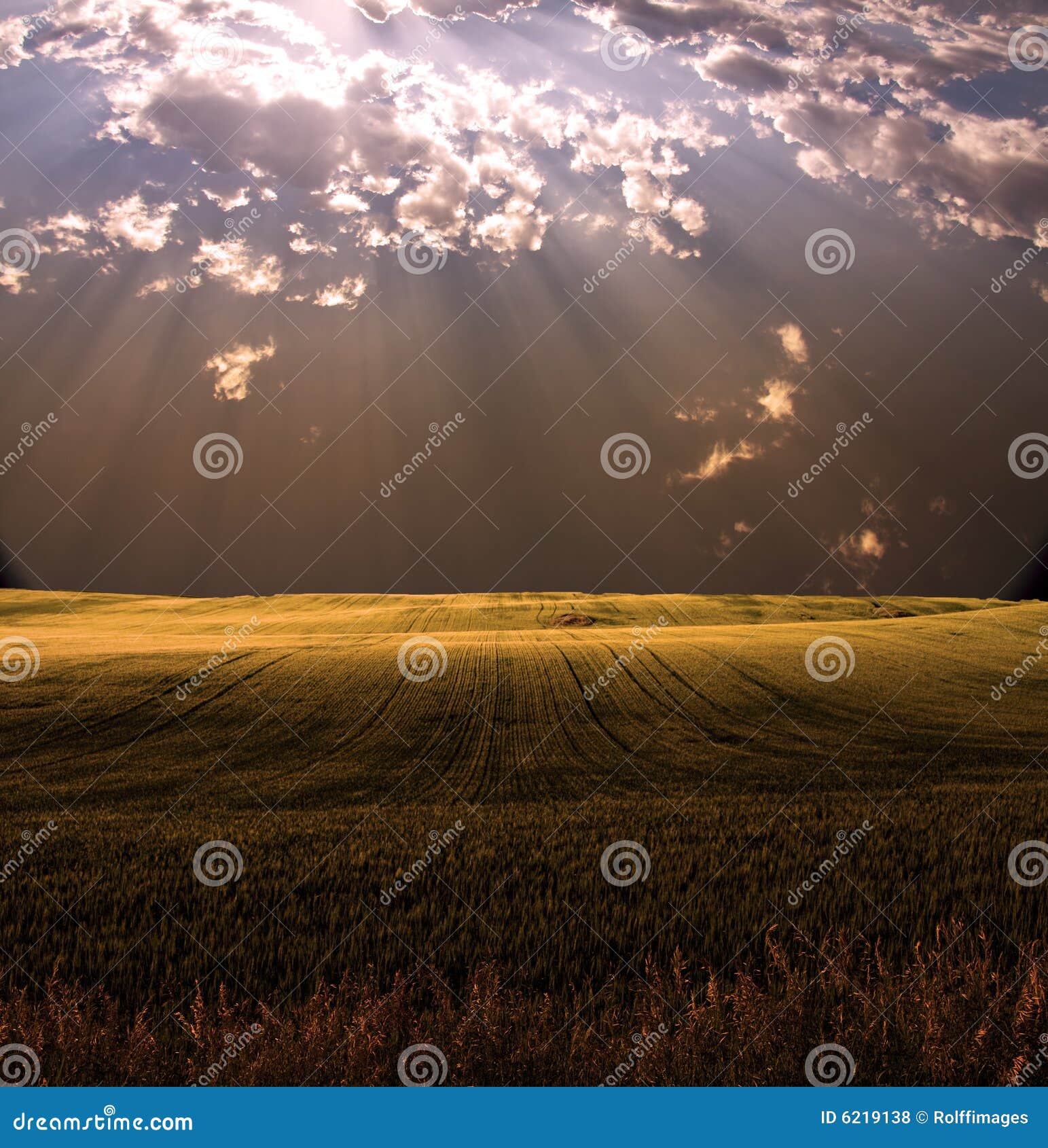 Field in sunlight stock photo. Image of beam, field, colorful - 6219138