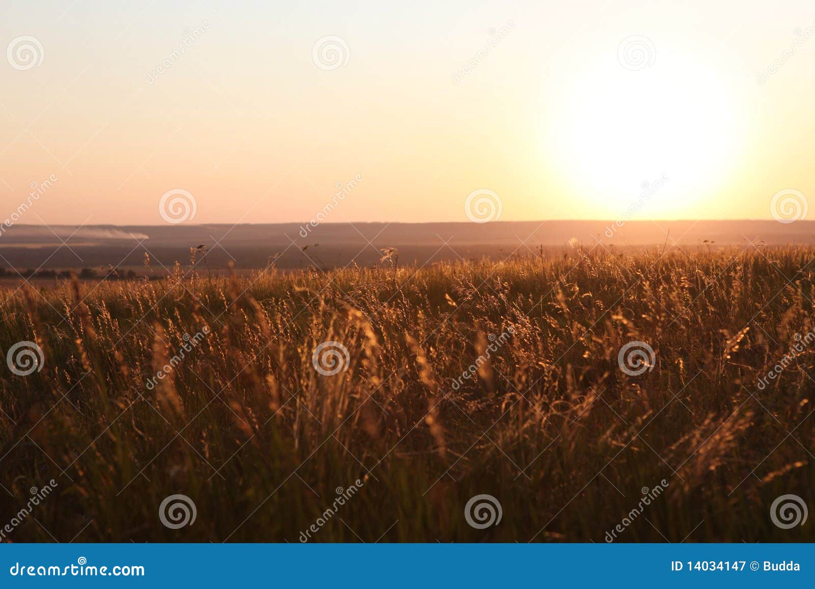 Field in sunlight rays stock image. Image of hill, area - 14034147