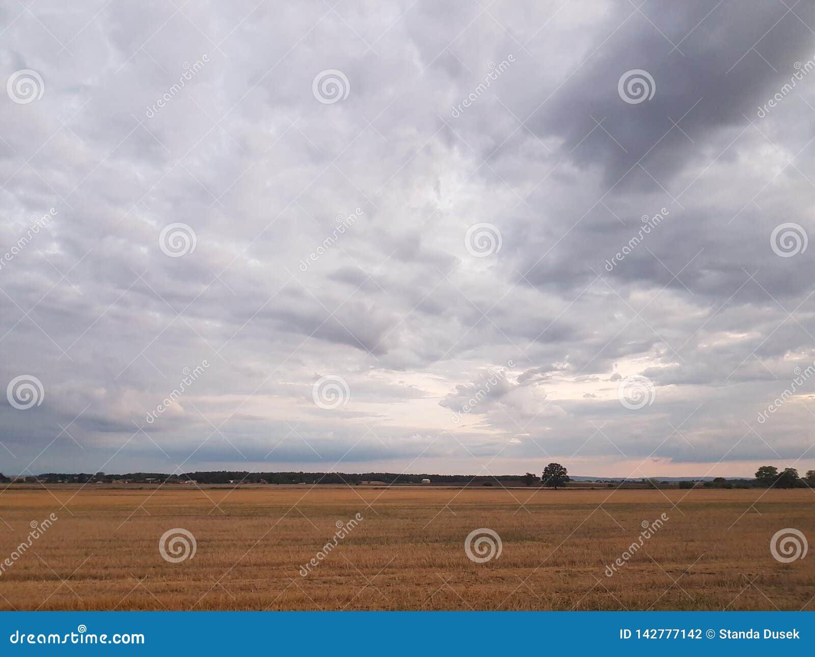Field sunlit stock photo. Image of relax, field, nature - 142777142
