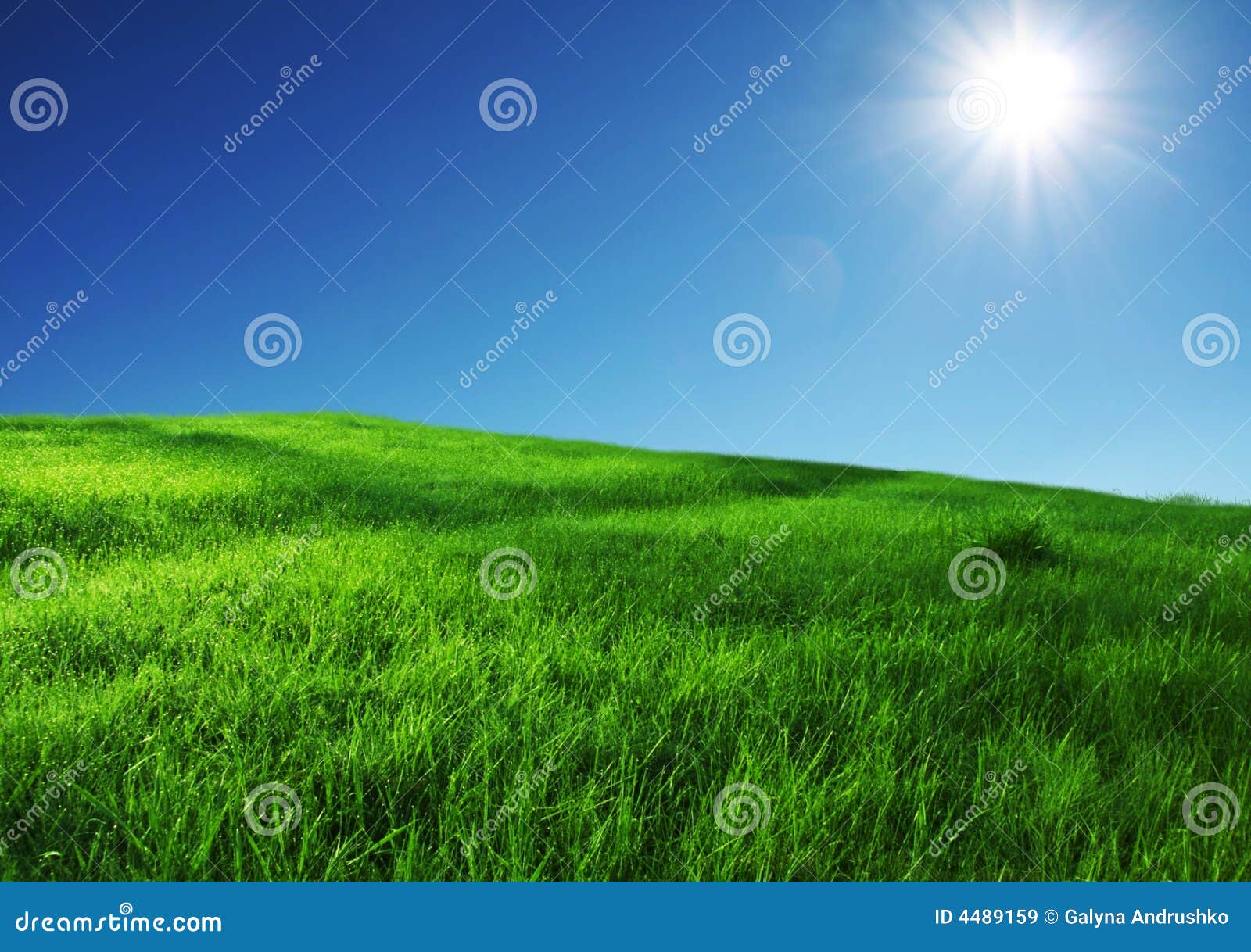 Field and sunny sky stock image. Image of spring, natural - 4489159