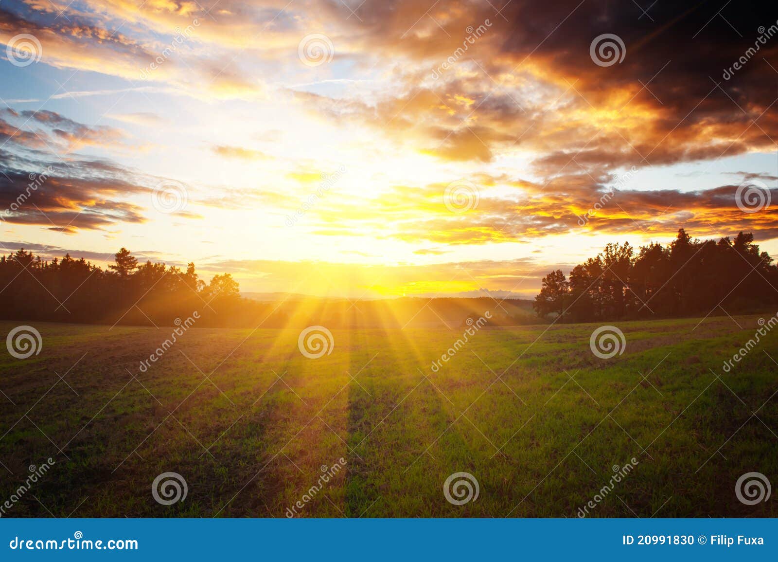Field and sunset stock photo. Image of country, outdoor - 20991830