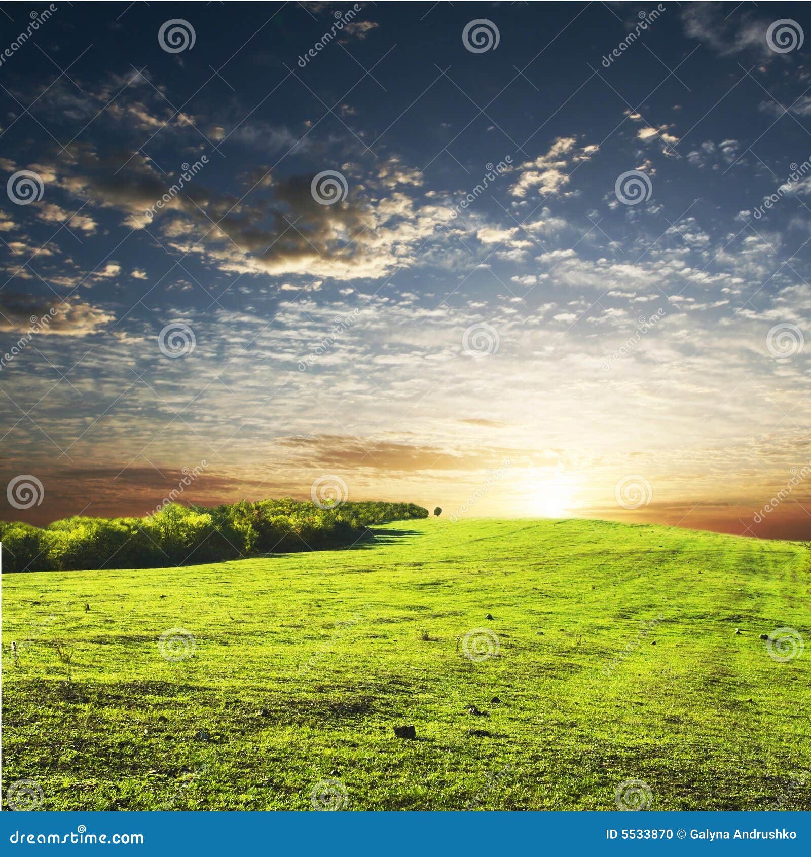 Field on sunset stock photo. Image of season, rural, freedom - 5533870