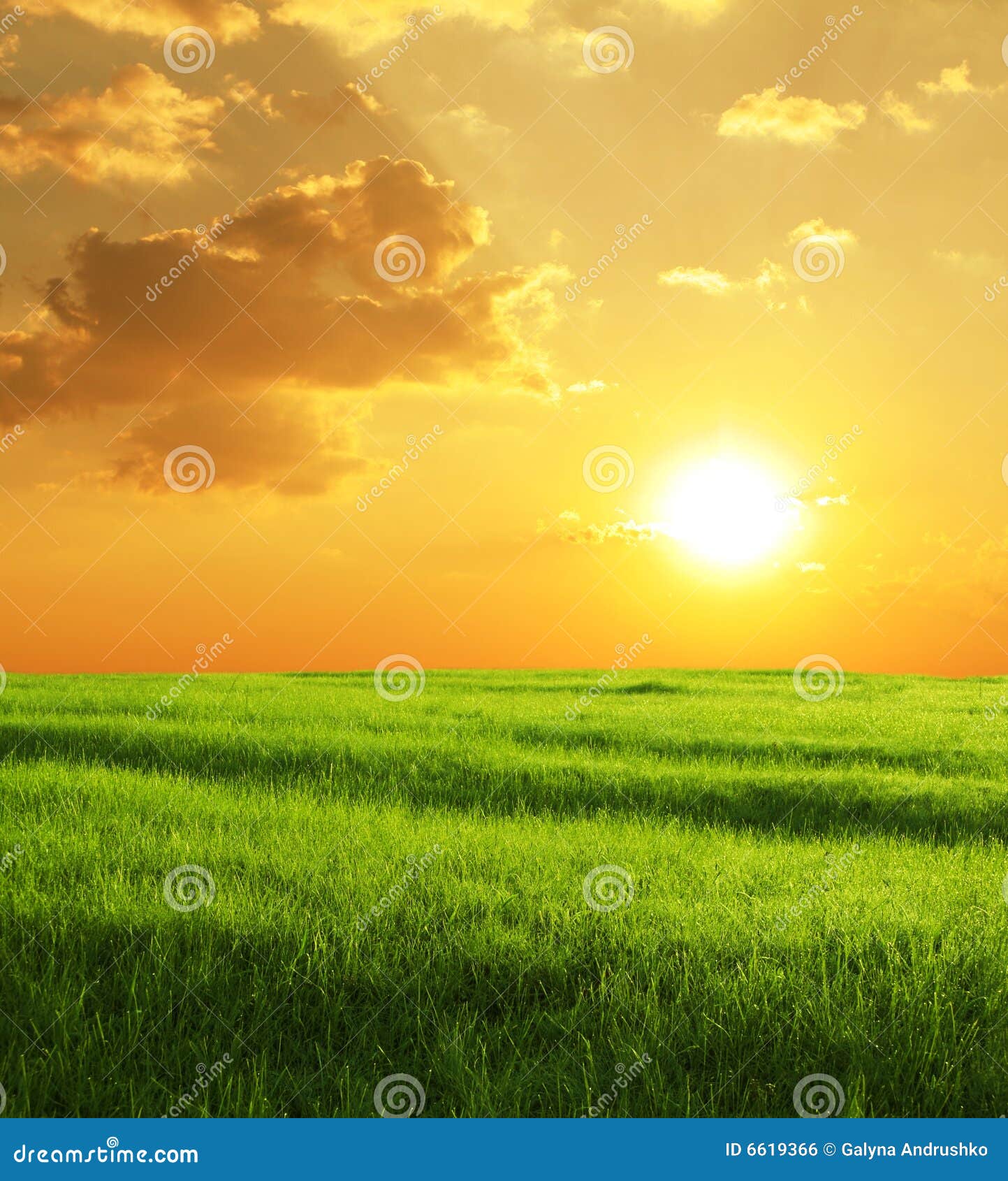 Field on sunset stock photo. Image of land, autumn, field - 6619366