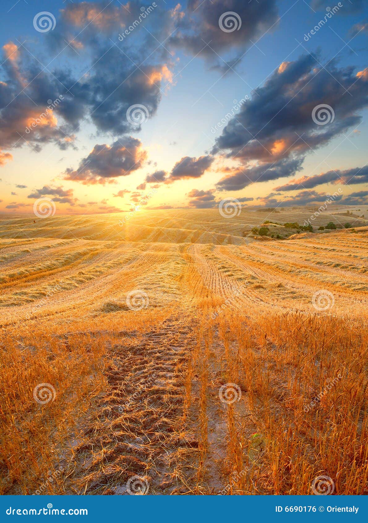 Field at sunset stock photo. Image of cloudy, meadow, sunrise - 6690176