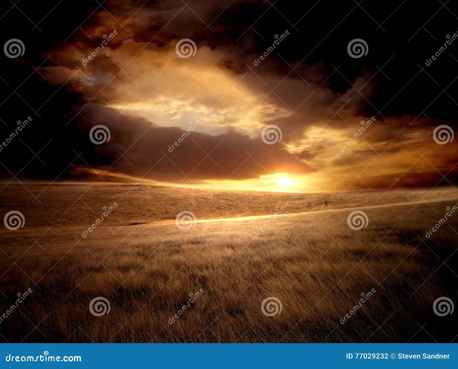 Field during sunset. stock photo. Image of country, field - 77029232