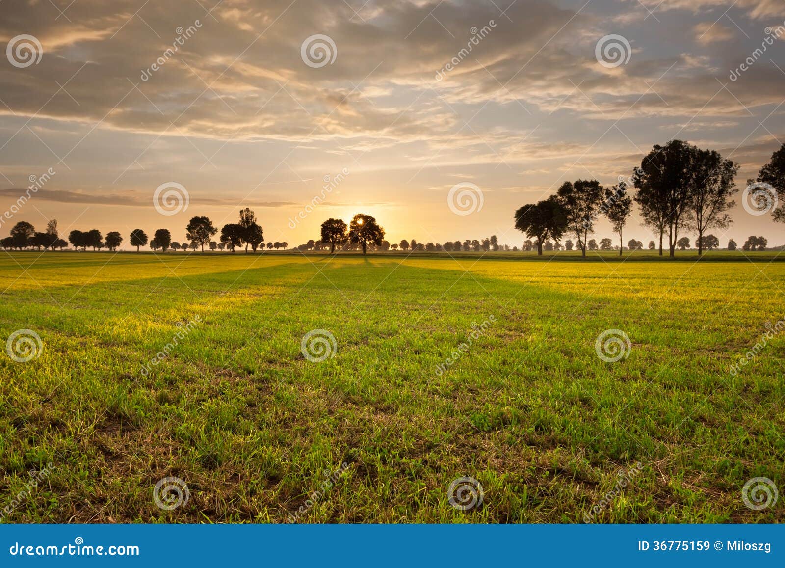 Field sunset stock image. Image of square, rainbow, spring - 36775159