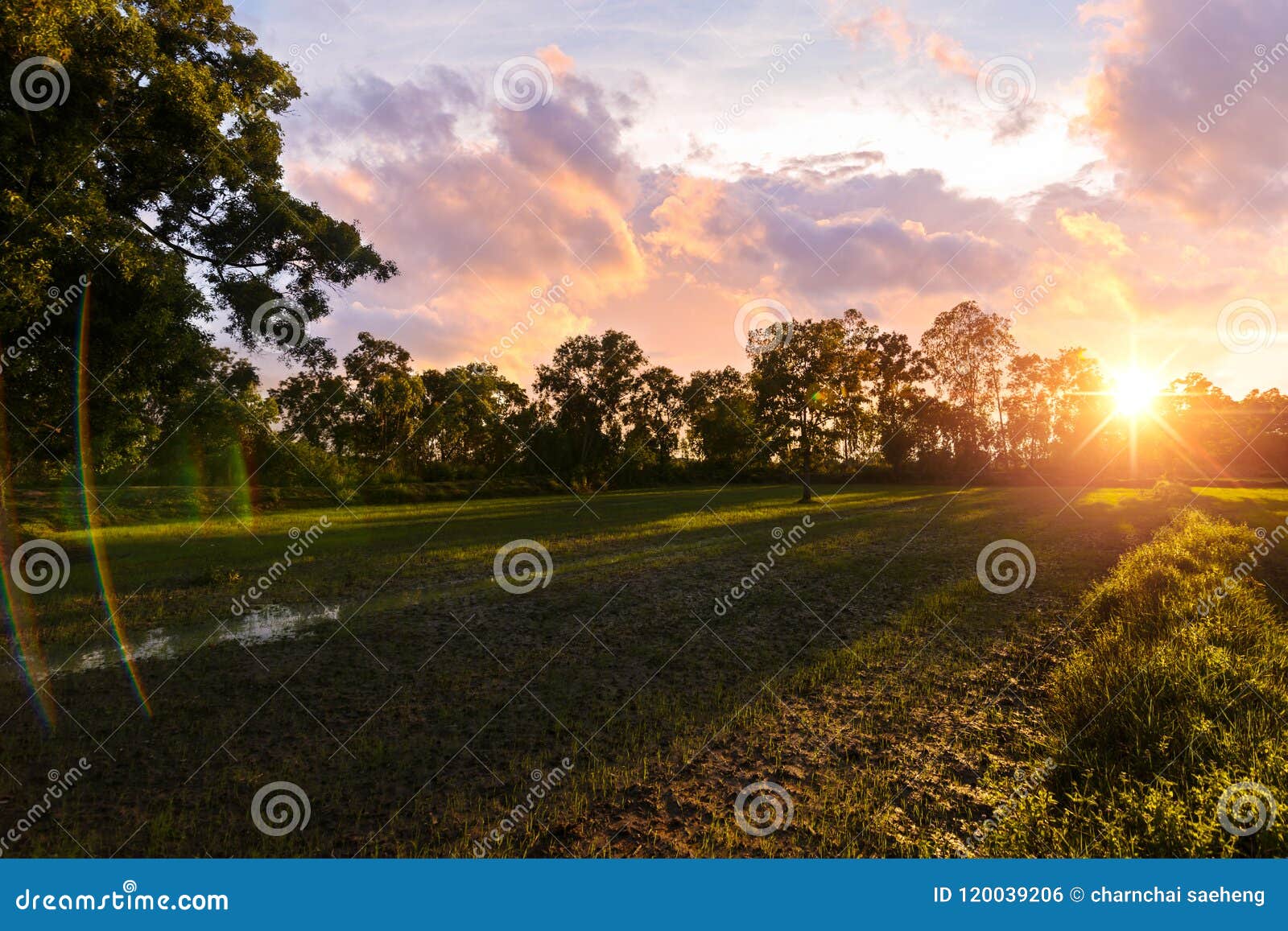 Little Field and Sunset Sky in Golden Hours. Stock Photo - Image of ...