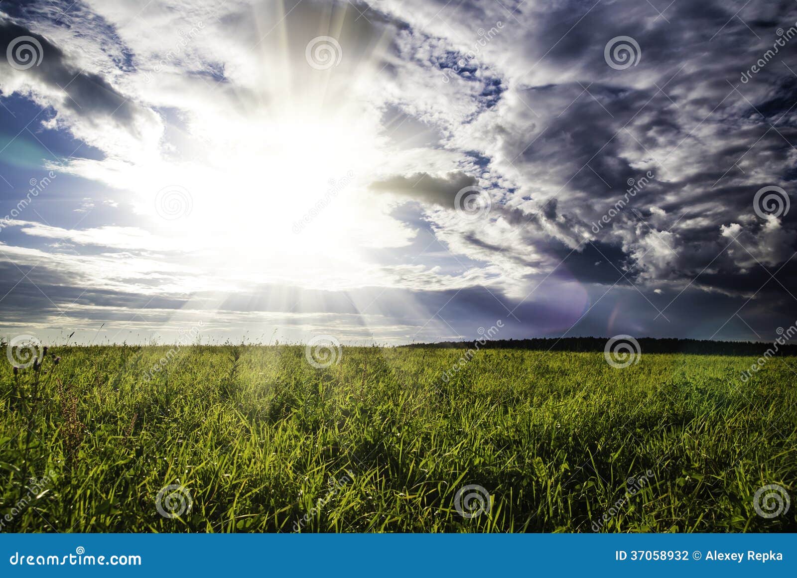 Field and sunset sky stock photo. Image of natural, nature - 37058932