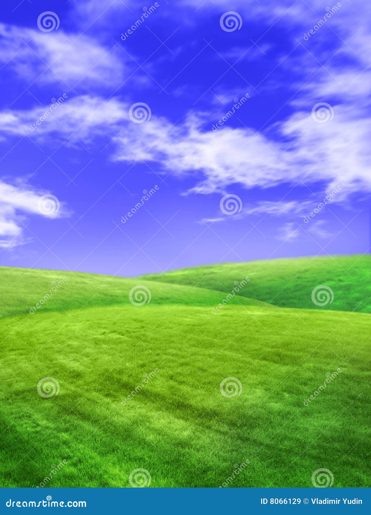 Field on sunshine stock image. Image of positive, natural - 8066129