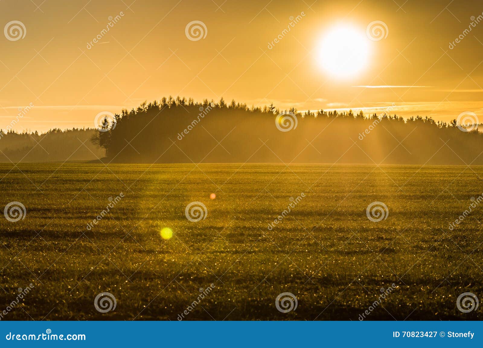 Field with sunshine stock image. Image of freshness, calm - 70823427