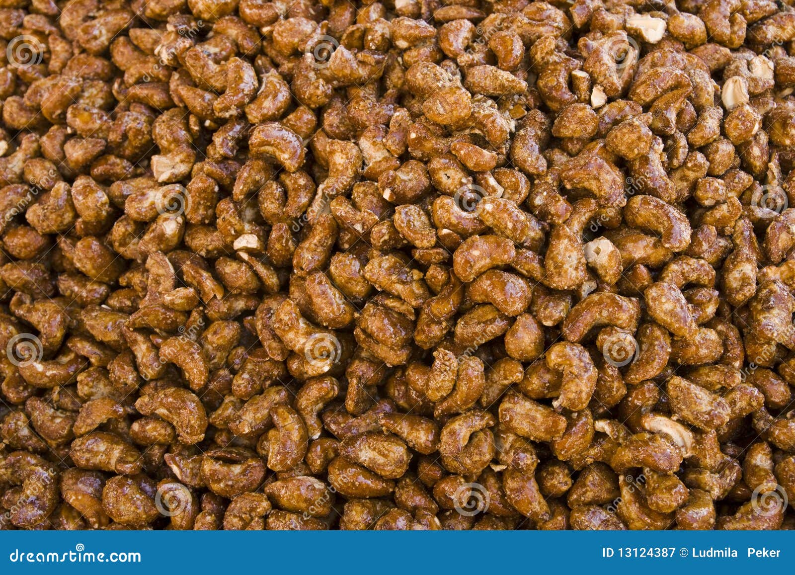 Field of sweet nuts stock image. Image of feed, dessert - 13124387