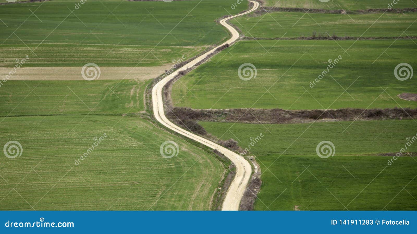 Field texture nature stock image. Image of cultivated - 141911283