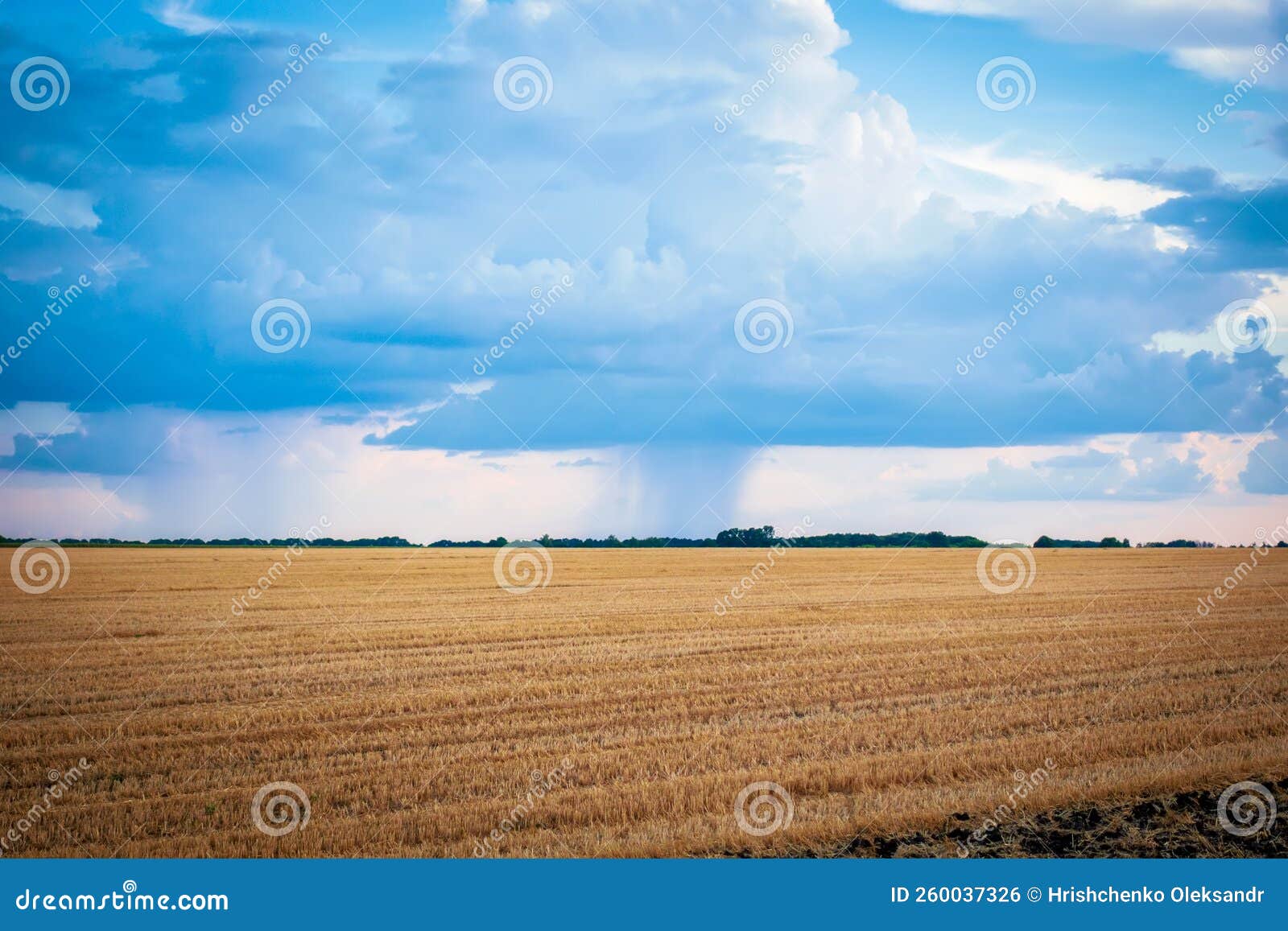 Field and Thick Clouds. it`s Raining in the Distance Stock Photo ...