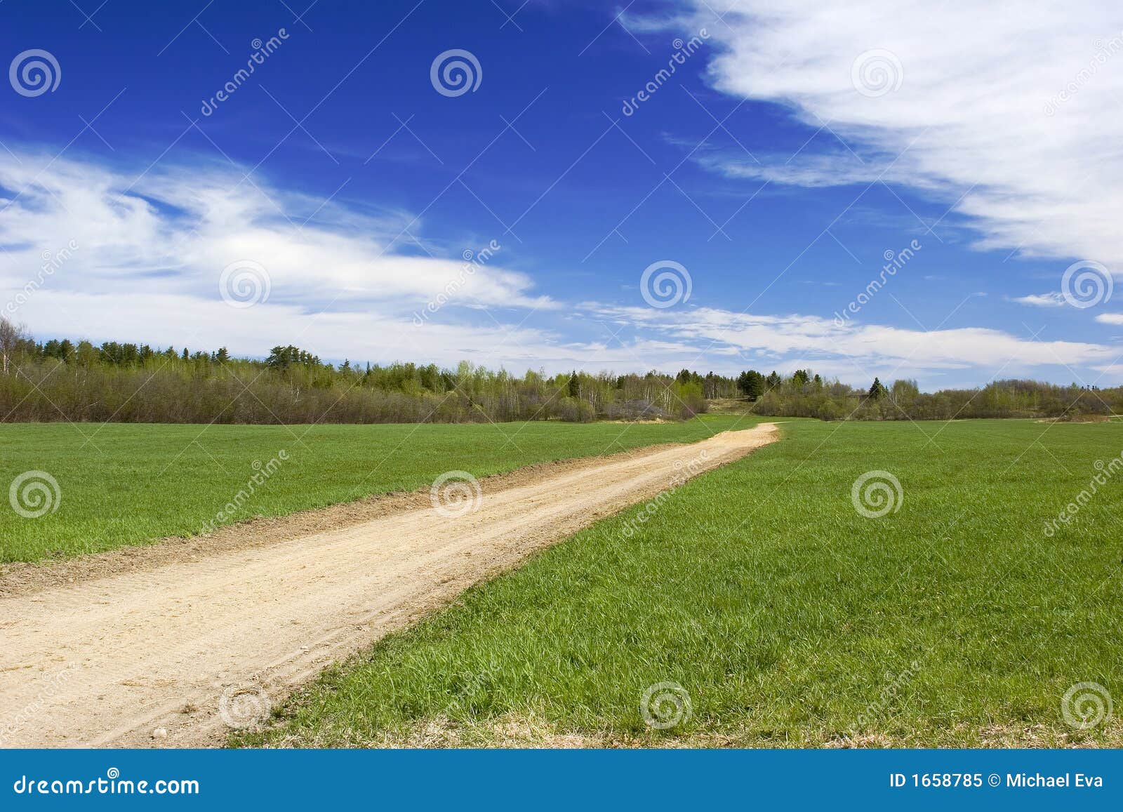 Field with tractor track stock image. Image of beige, road - 1658785