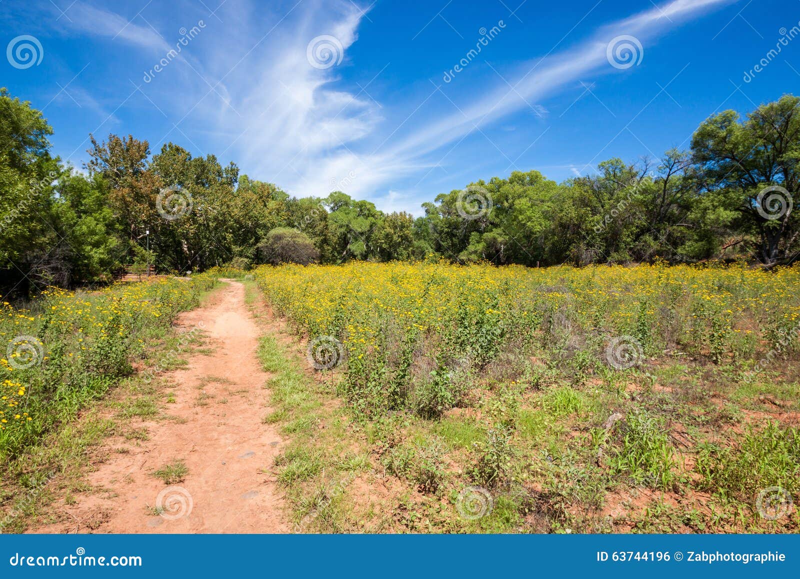 Field with a trail stock photo. Image of road, field - 63744196