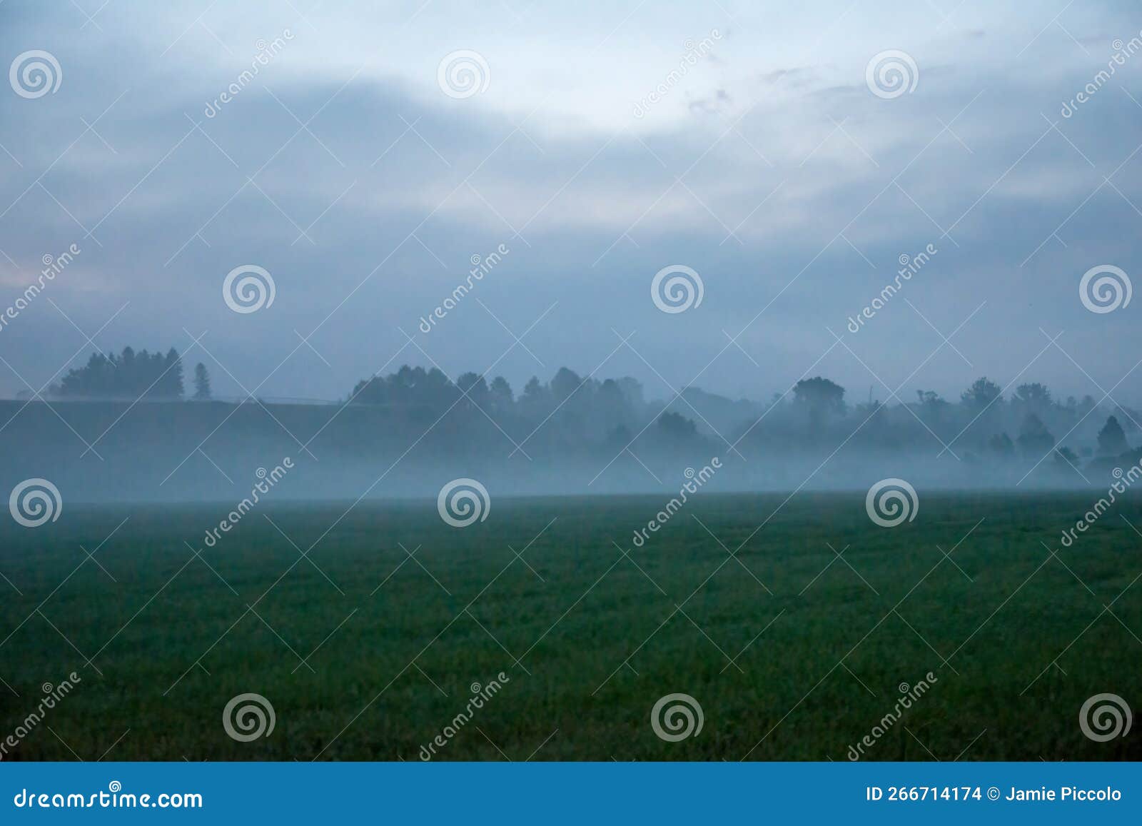 Field and tree line in fog stock photo. Image of dawn - 266714174