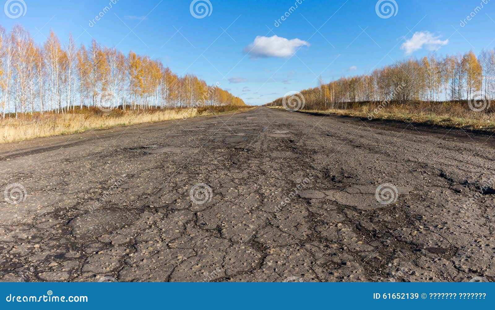 Field, Tree Planting and Road. Stock Image - Image of grass, landscape ...