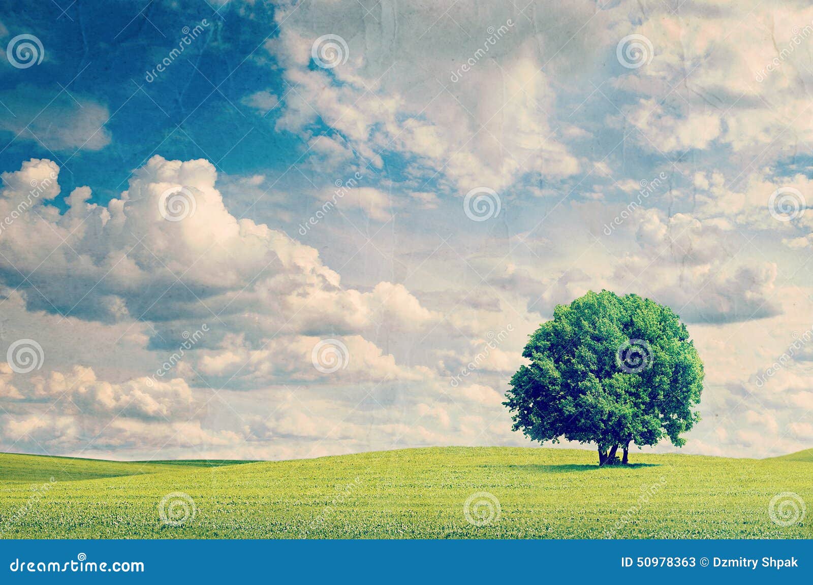 Field and Tree. Vintage Retro Hipster Style Version Stock Image - Image ...