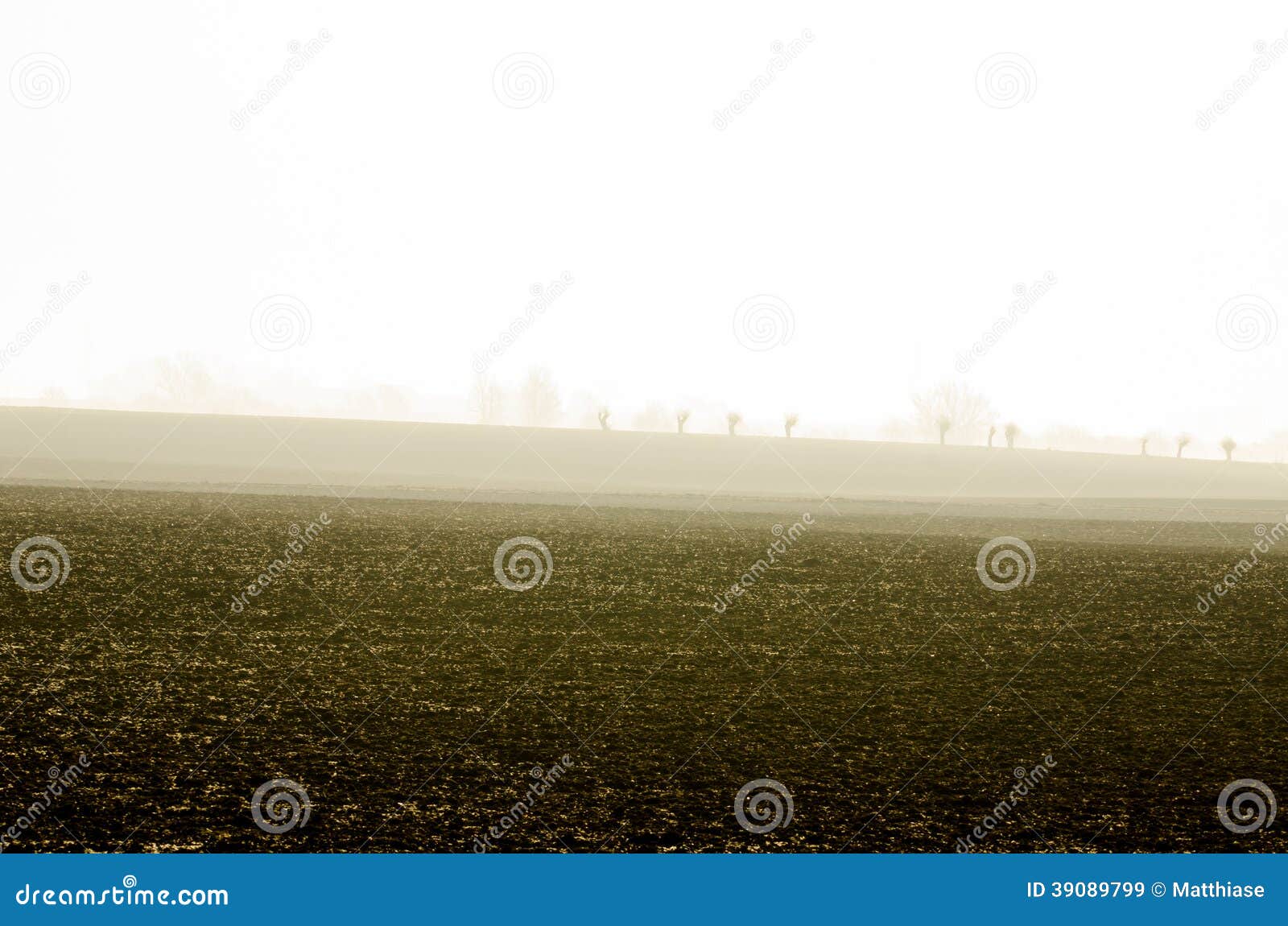 Field treeline stock image. Image of agriculture, treeline - 39089799