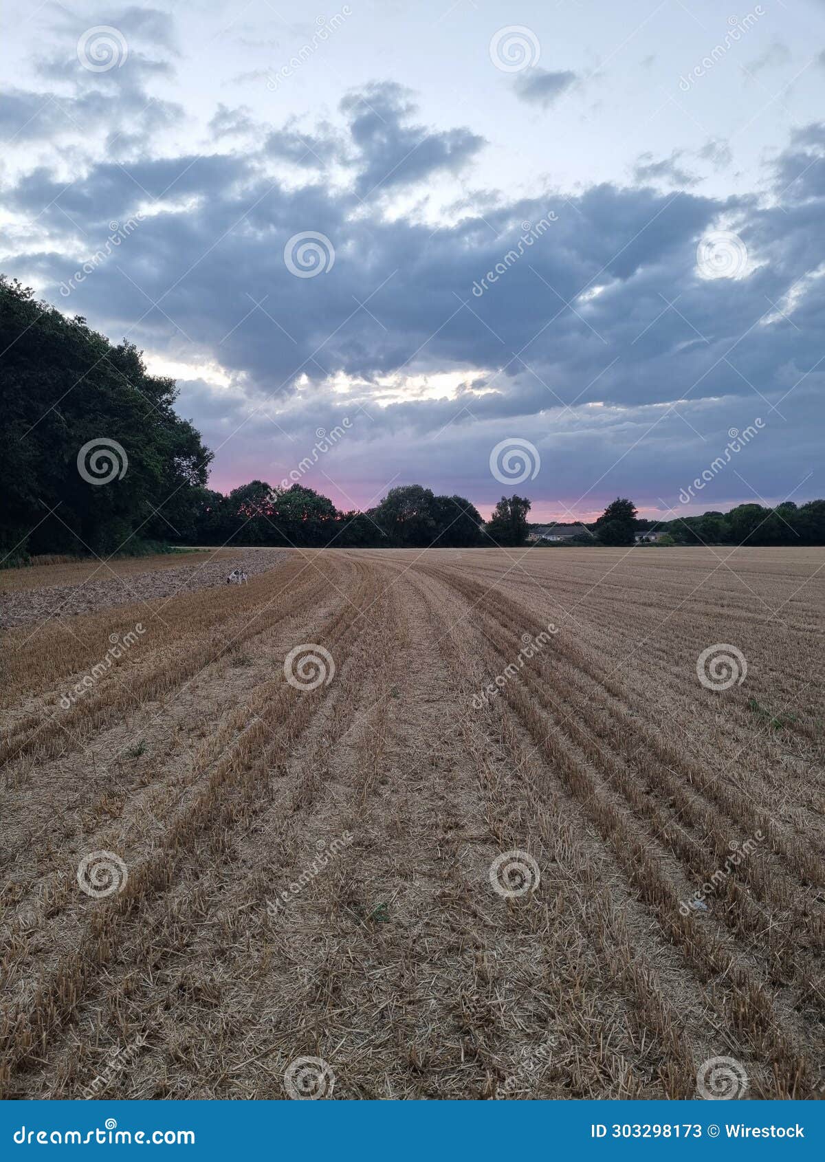 A Field with Trees, Fields and Clouds in the Distance Stock Image ...