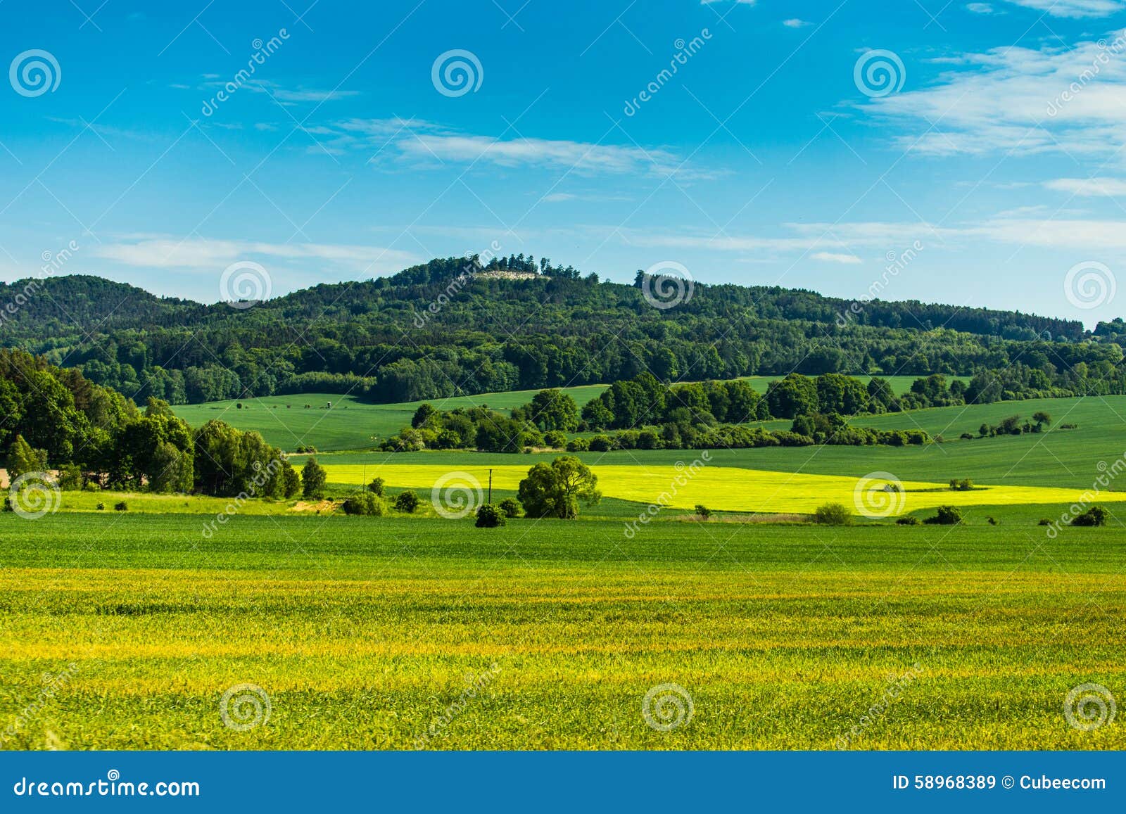 Field with Trees and Mountain Behind Stock Image - Image of graphic ...