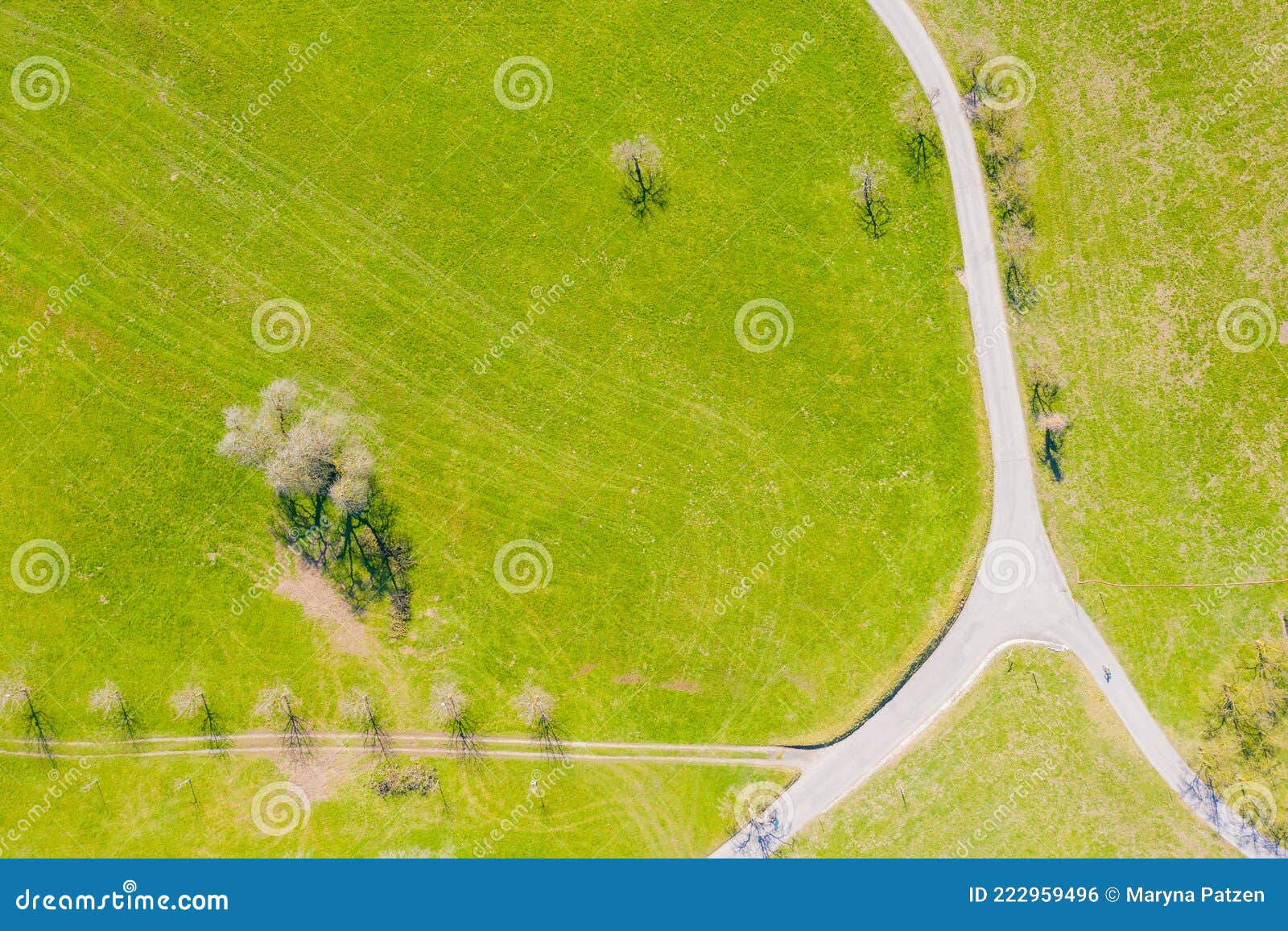Field, Trees and Road. Aerial View Stock Photo - Image of background ...