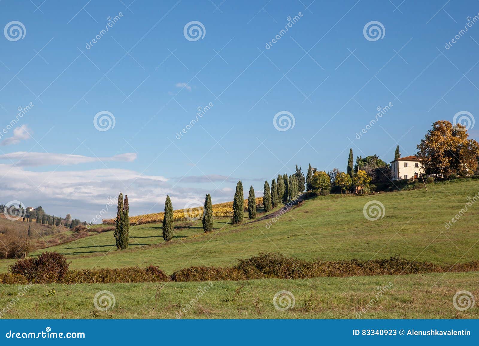 Field in Tuscany stock image. Image of growth, road, fall - 83340923