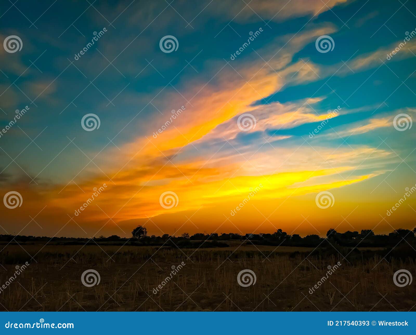 Field Under the Gorgeous Yellow and Blue Sunset Sky Stock Image - Image ...