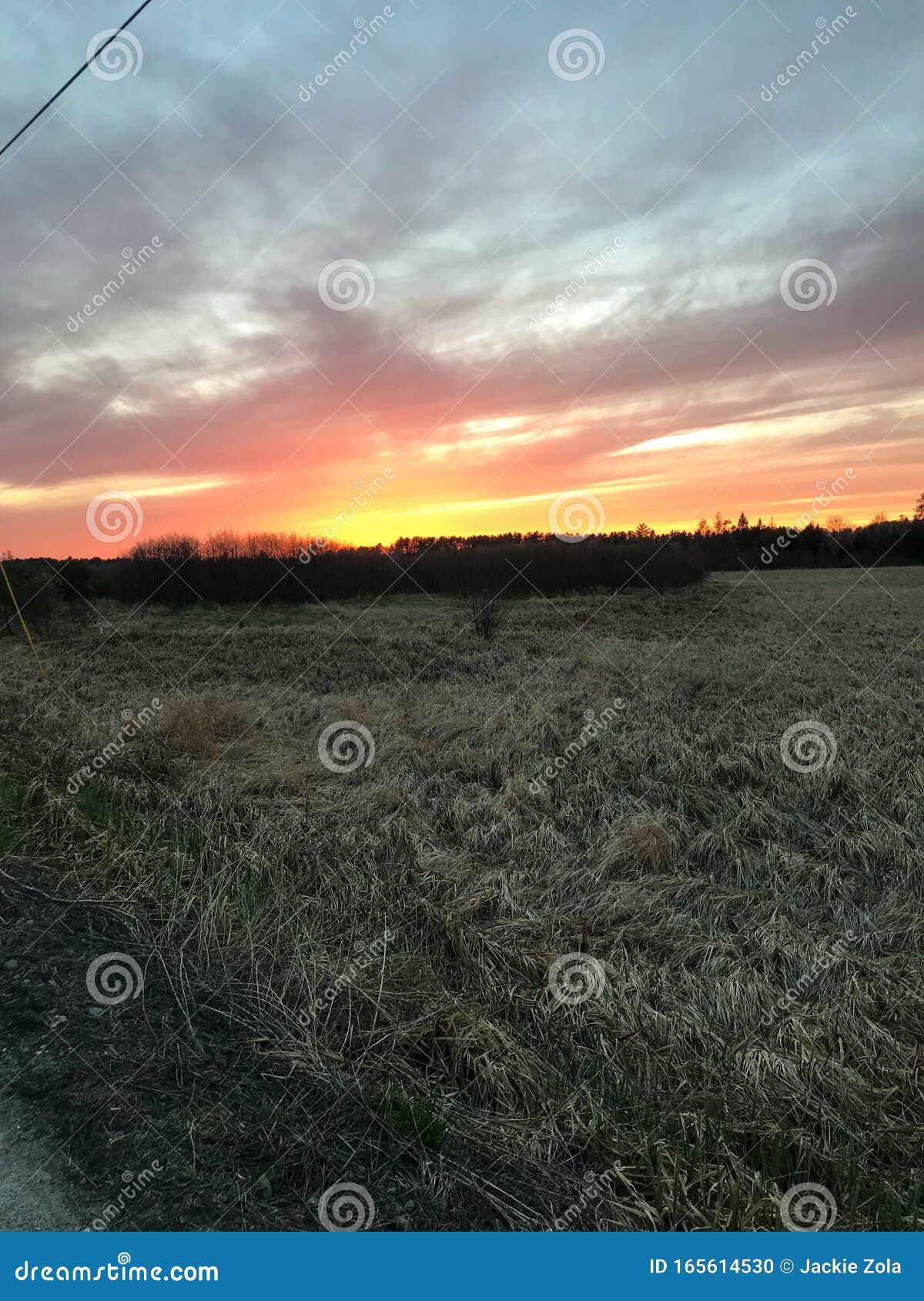 Nature Scapes stock photo. Image of sunset, field, scapes - 165614530
