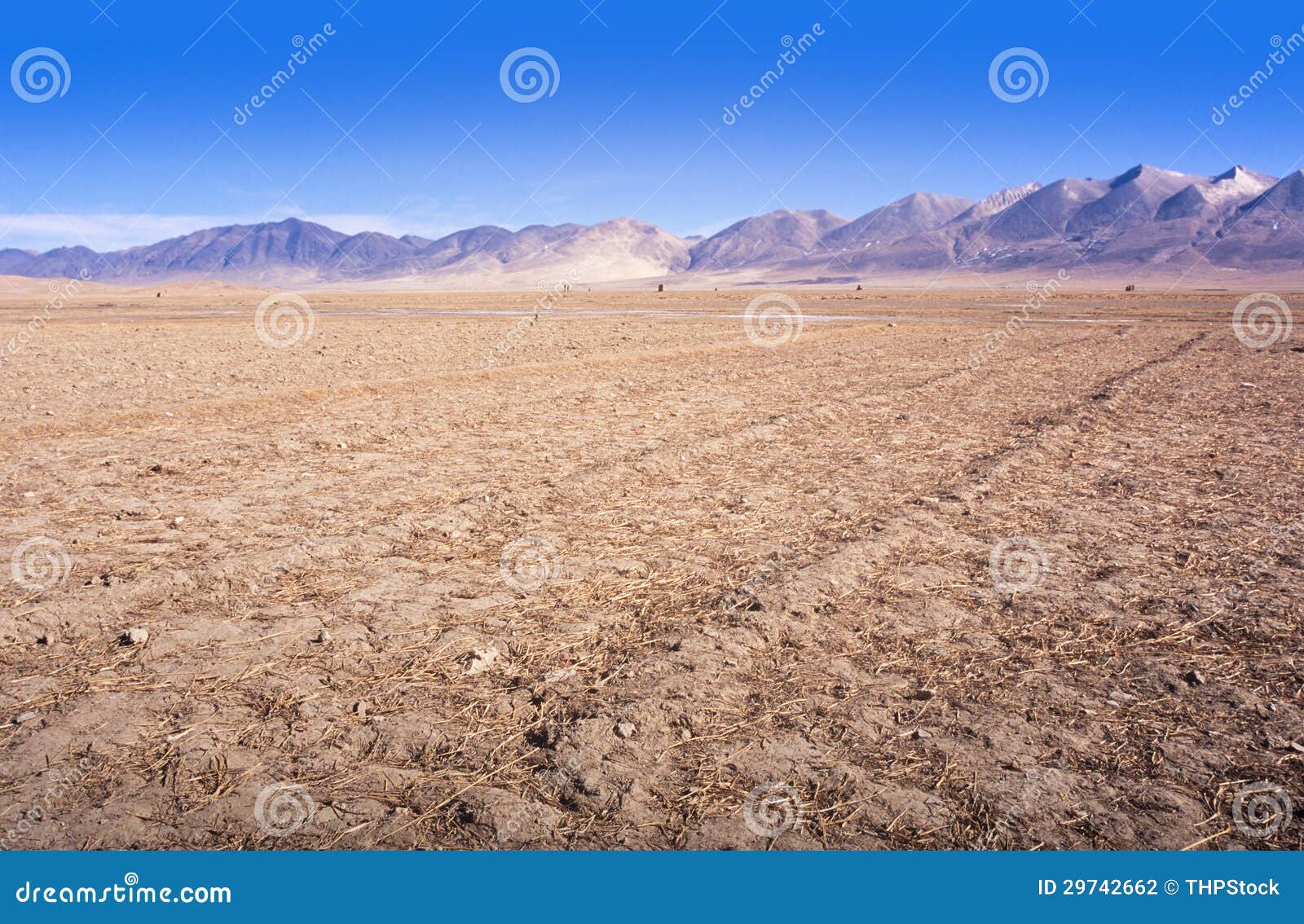 Tibetan Field stock photo. Image of field, tibetan, asian - 29742662
