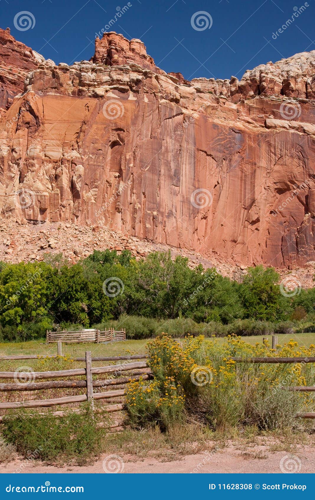 Field in Utah stock photo. Image of natural, grass, mountain - 11628308