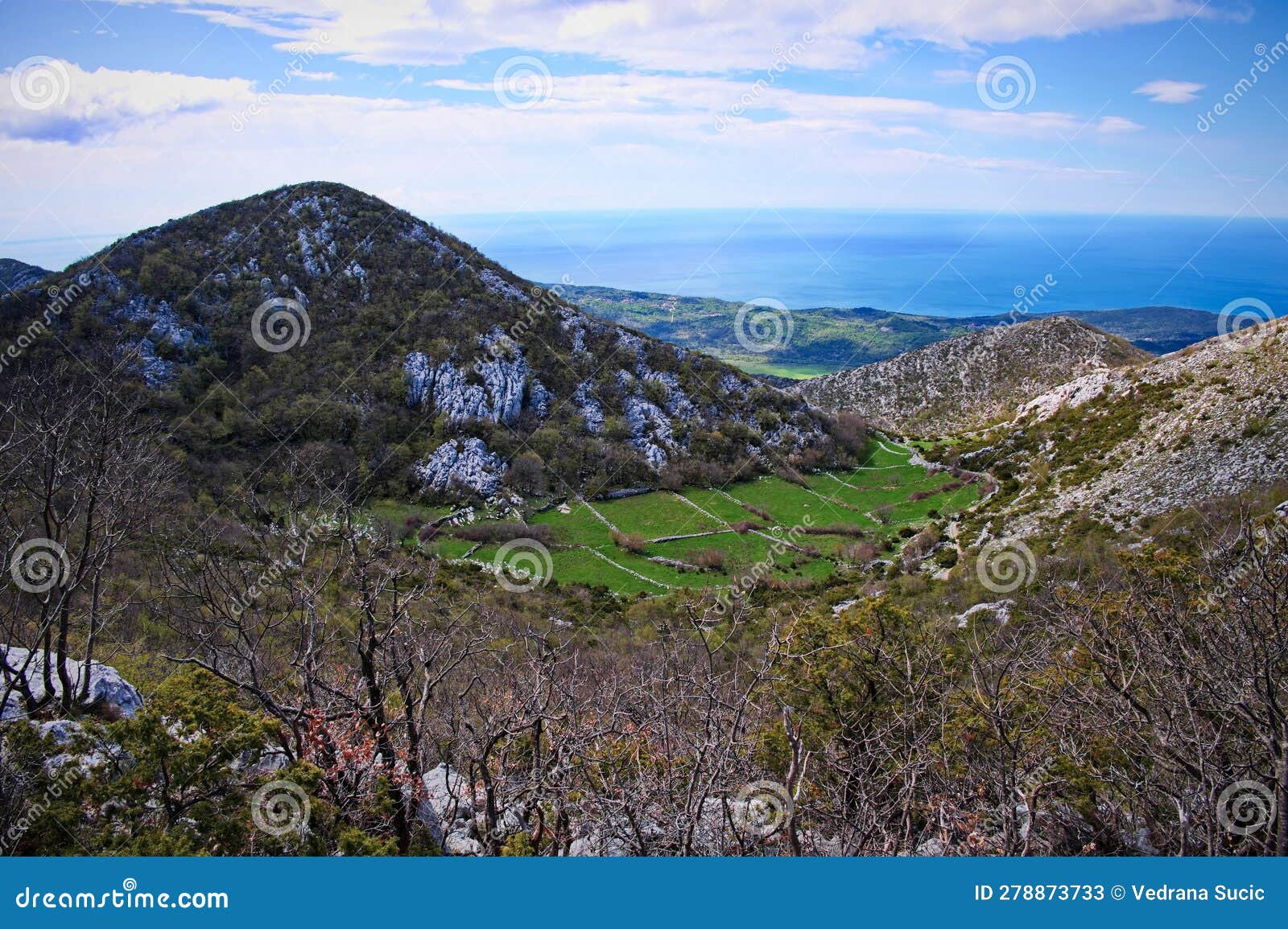 Field in the valley stock image. Image of season, nature - 278873733