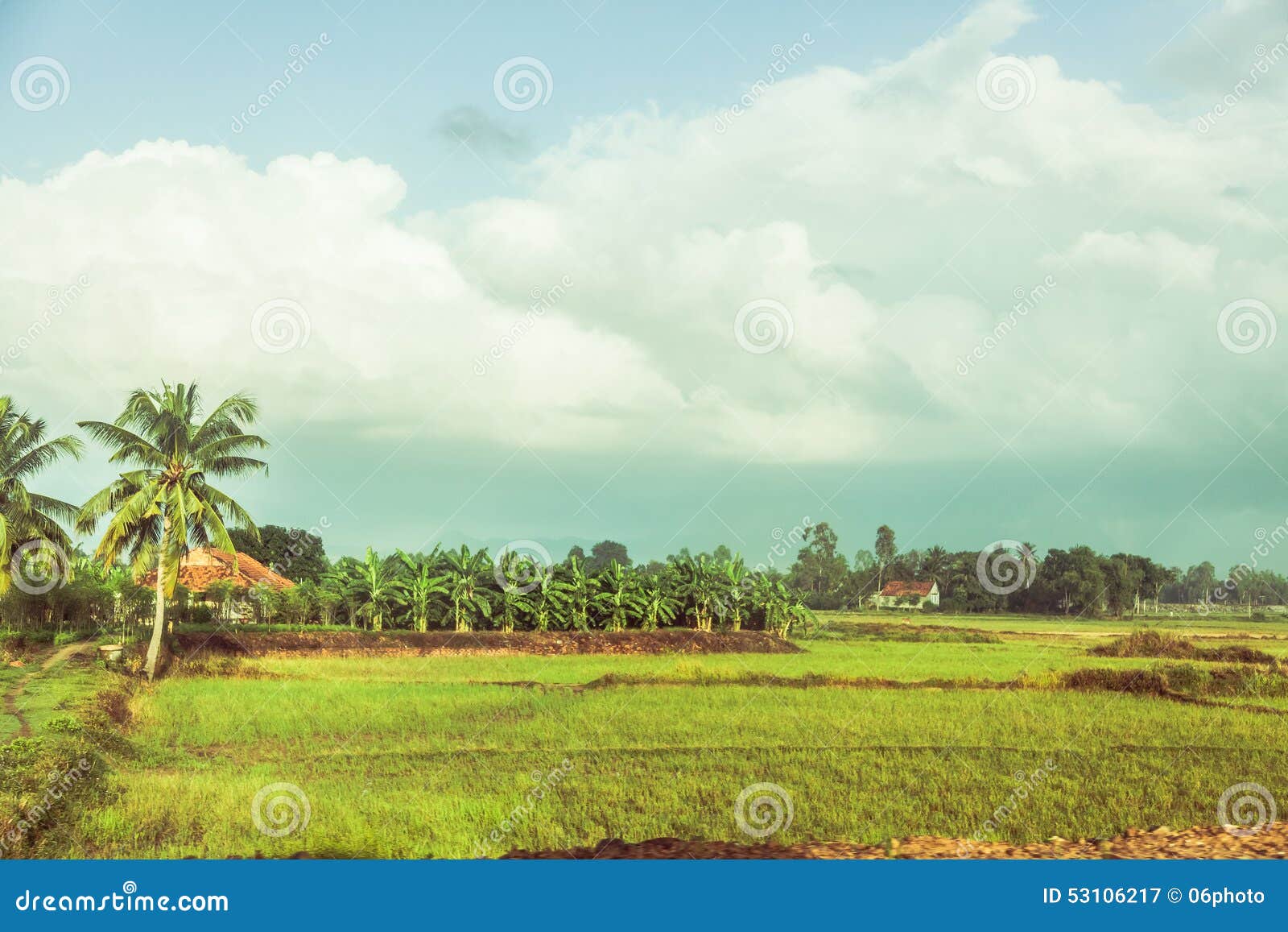 Field in Vietnam stock image. Image of rural, countryside - 53106217