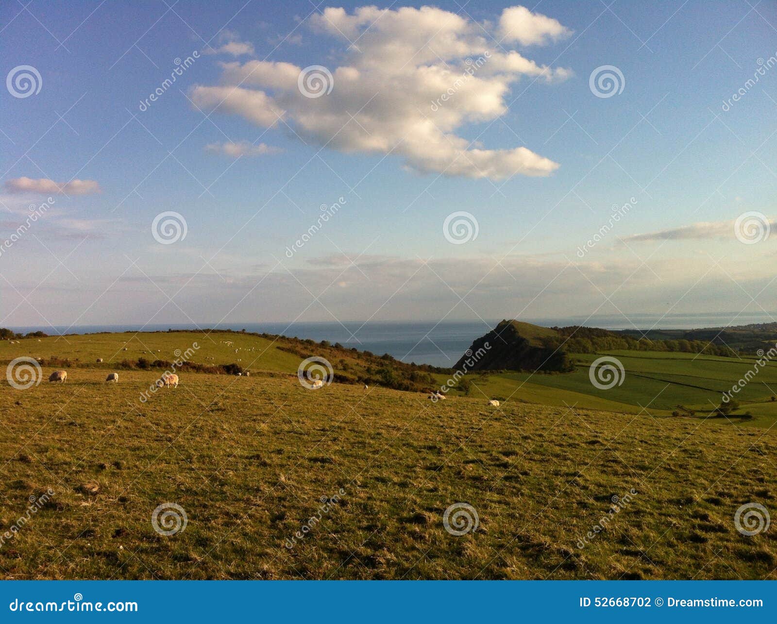 A field with a view stock photo. Image of summer, field - 52668702