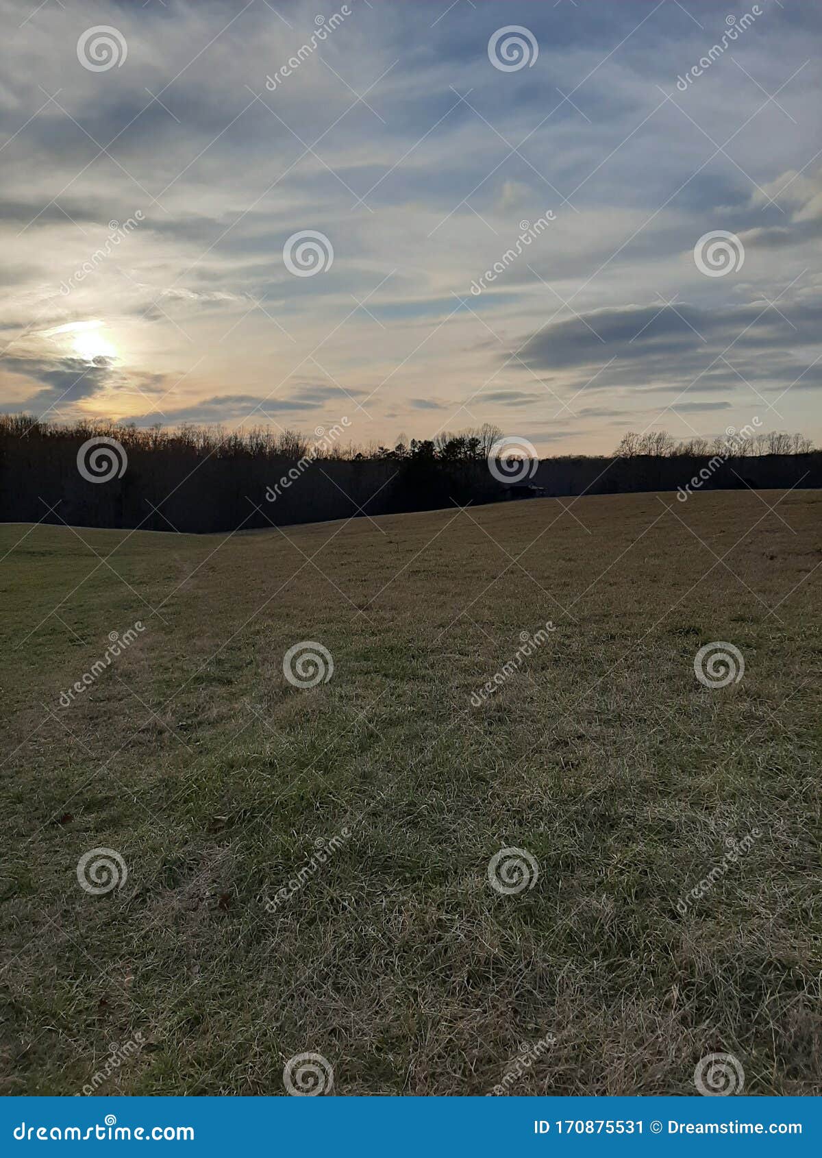 Field in Virginia stock image. Image of natural, atlantic - 170875531