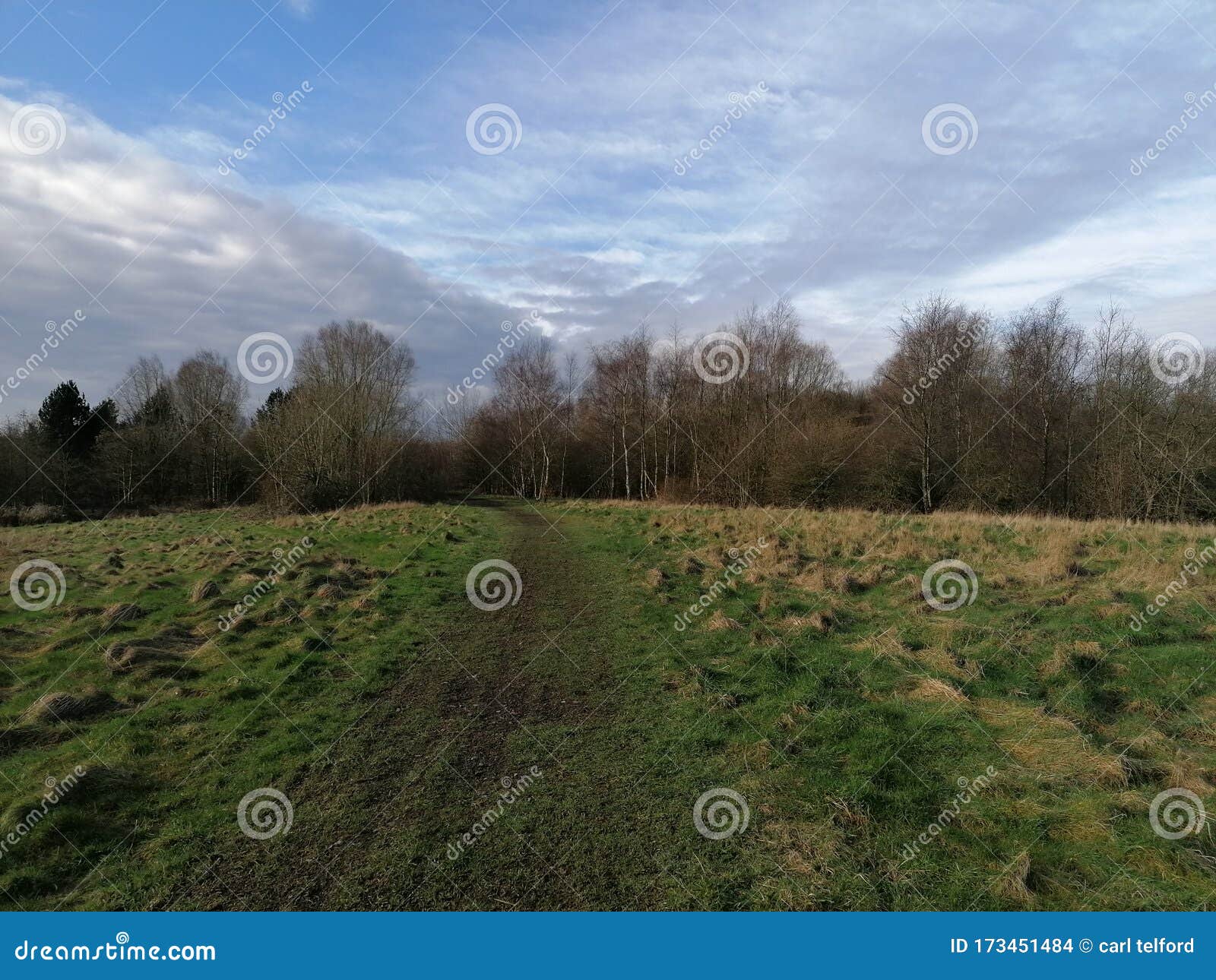 Field stock photo. Image of nature, walk, camping, field - 173451484