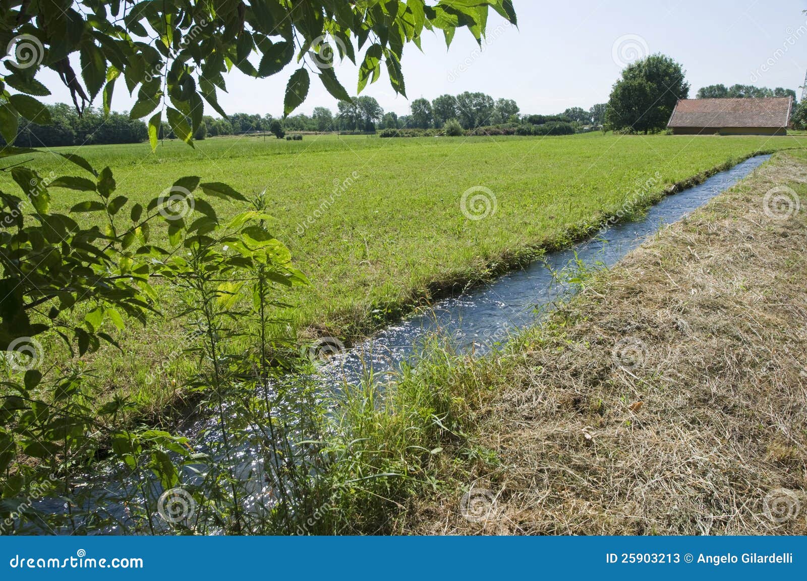 Field and water channel stock image. Image of sunlight - 25903213