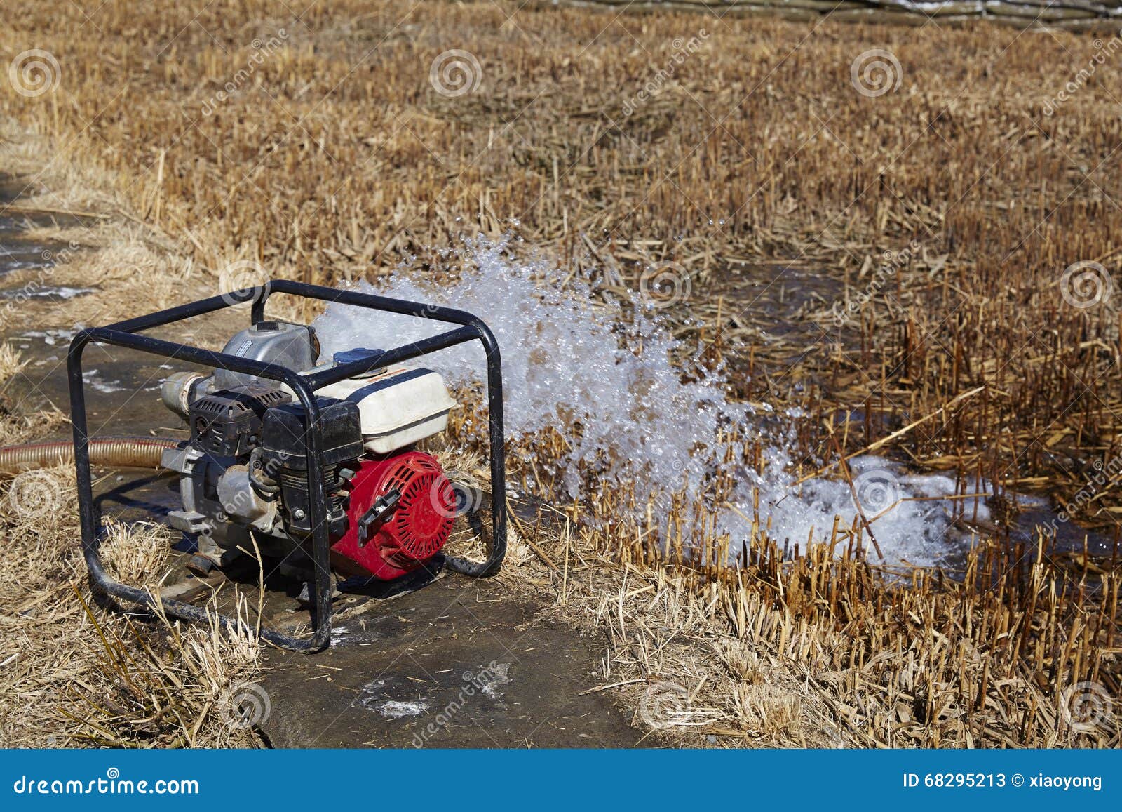 Field watering stock image. Image of season, concept - 68295213