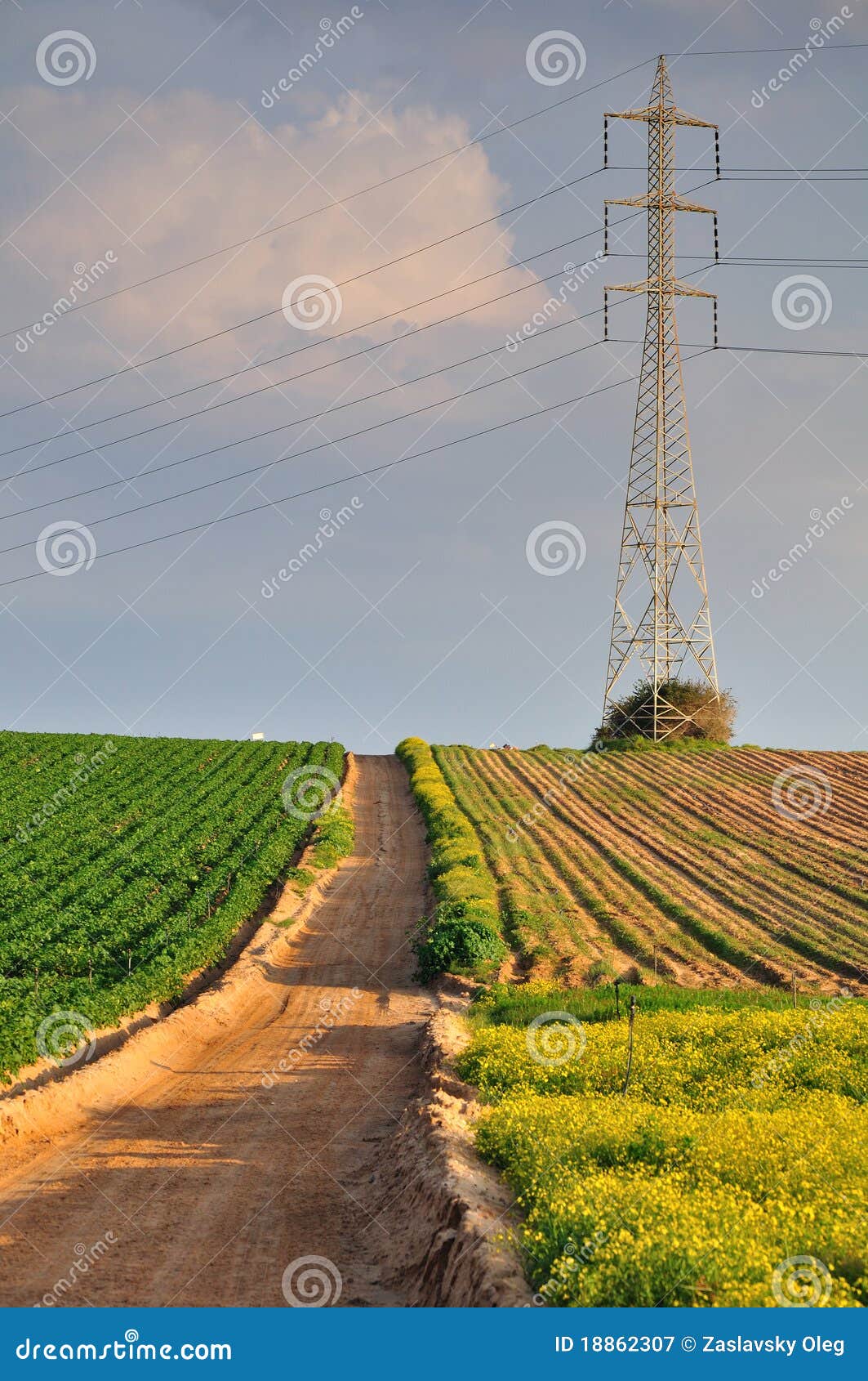 Field way. stock image. Image of mast, cloud, countryside - 18862307