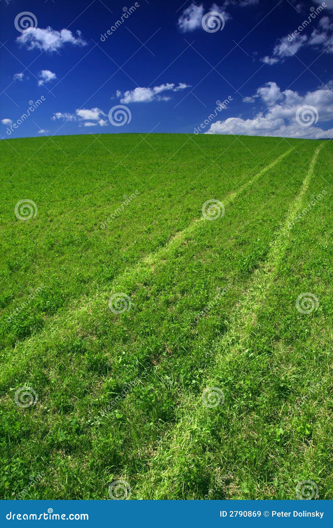 Field Way Picture. Image: 2790869