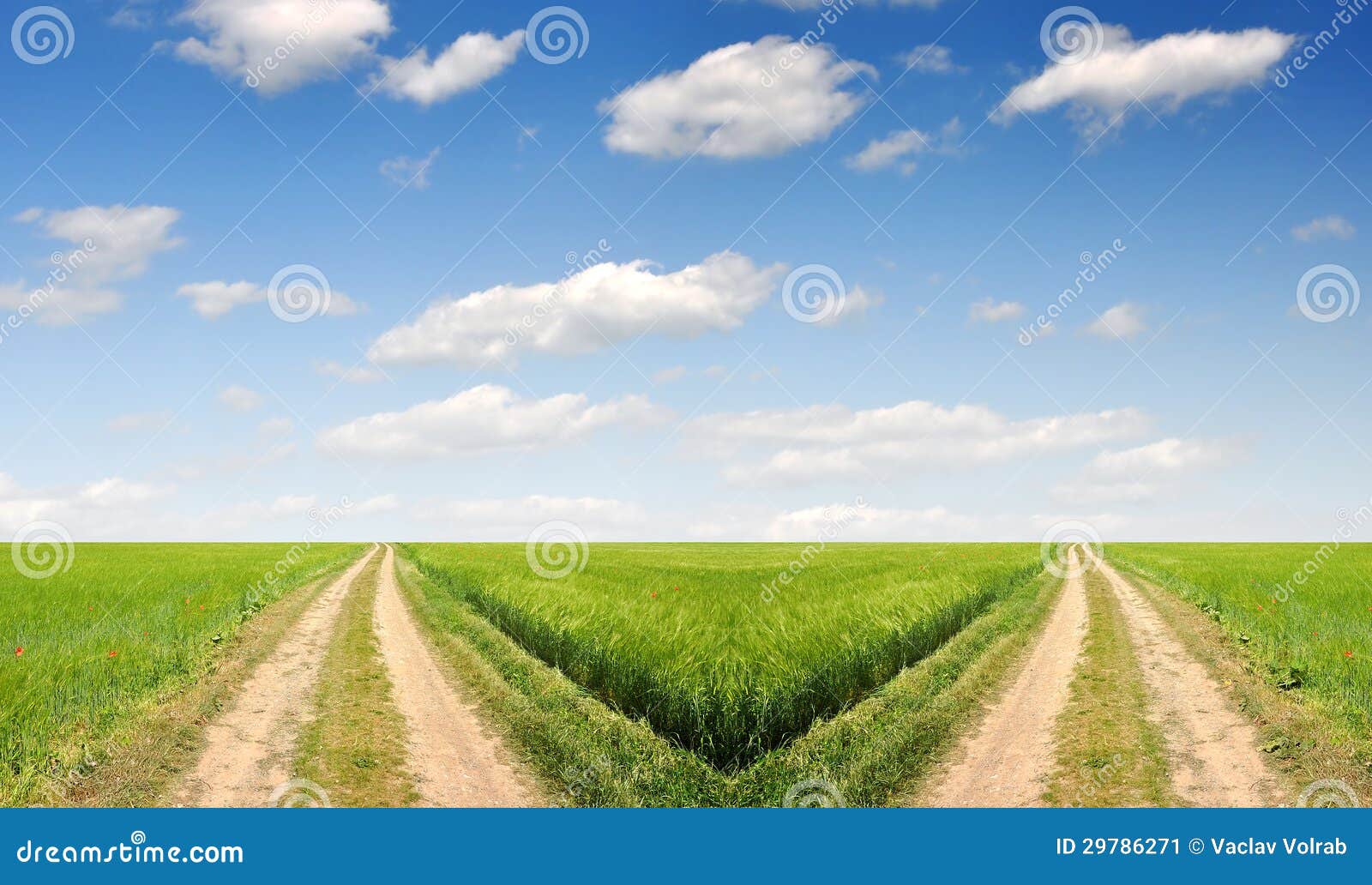 Field way stock image. Image of environment, nature, barley - 29786271