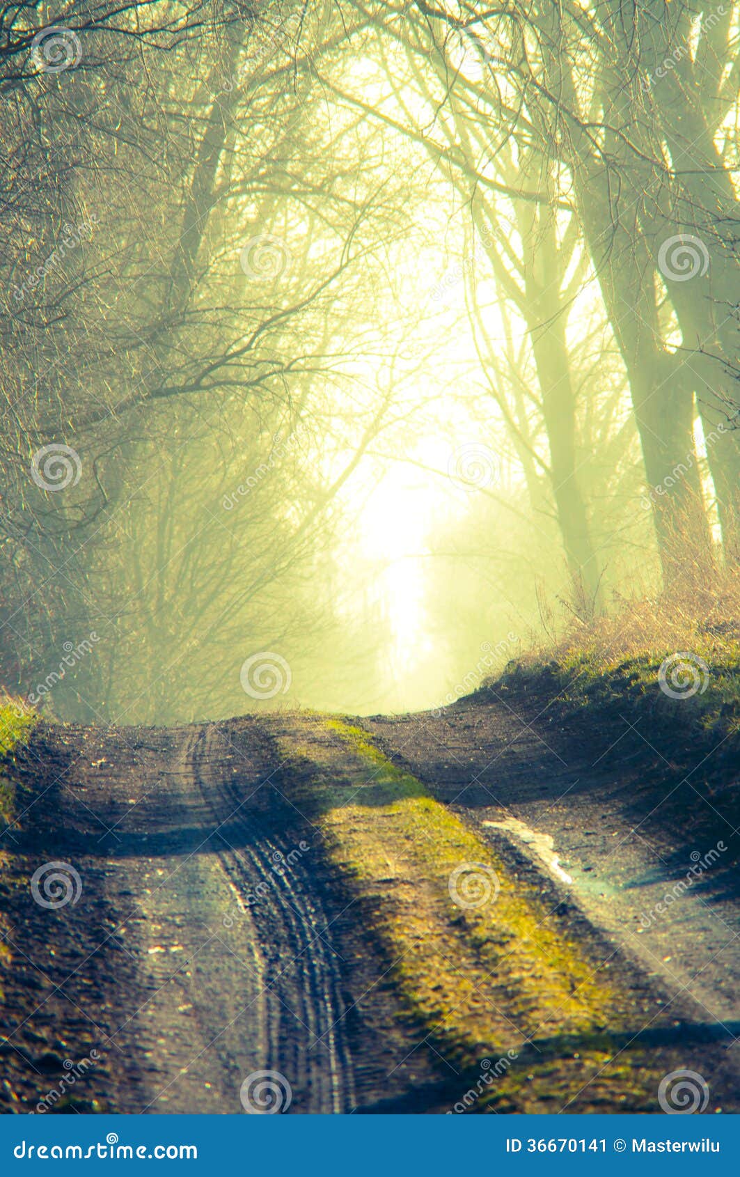 Field way stock image. Image of drive, palestine, recreation - 36670141