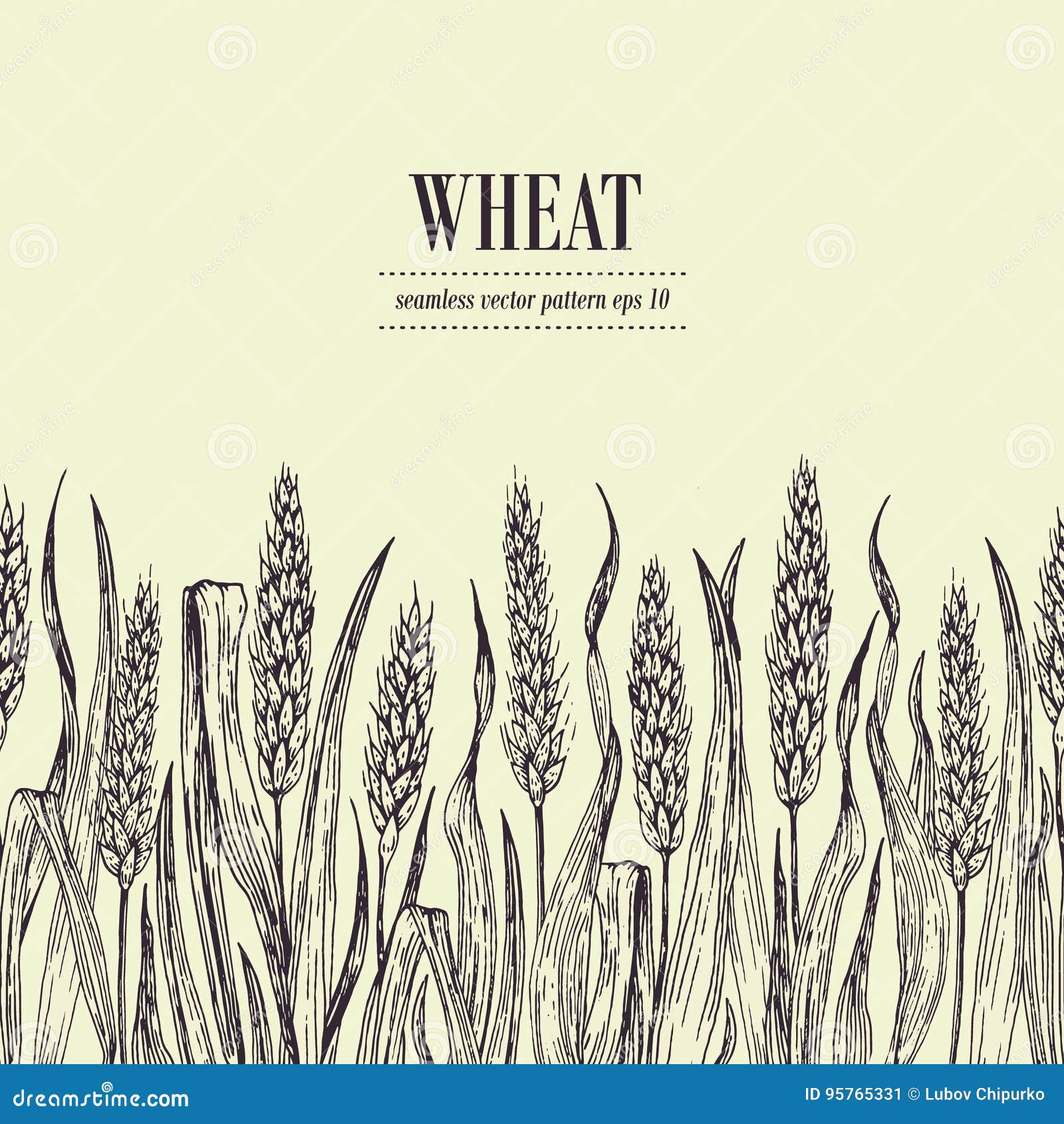 Field of Wheat Vector Seamless Pattern. Vintage Hand Drawn Illustration ...