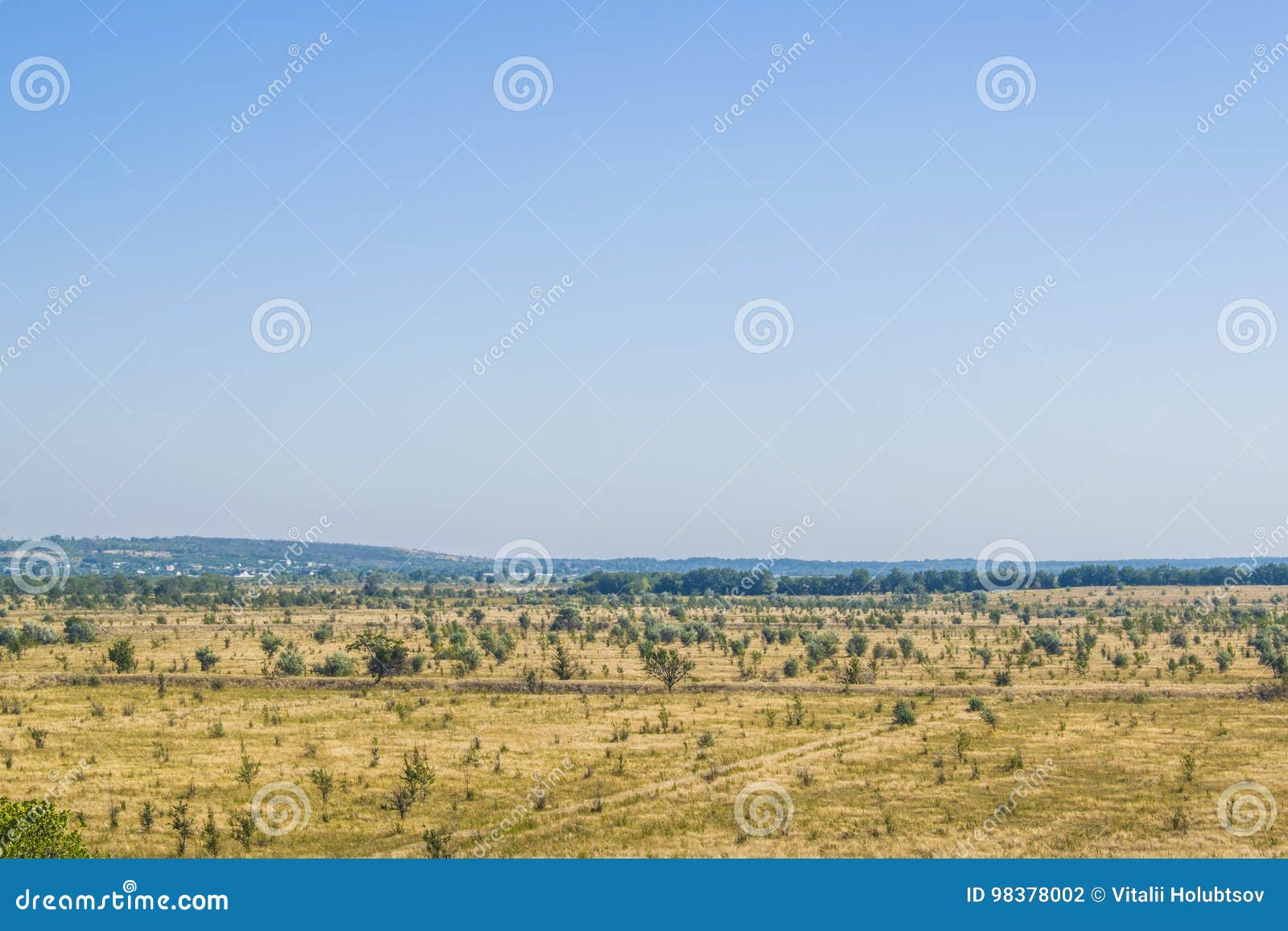 A Field in Which Nothing Grows, Except Trees. in the Distance You Can ...