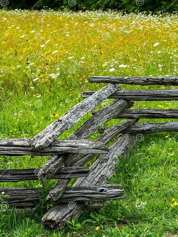 Field of Wildflowers stock photo. Image of plants, rail - 25915450