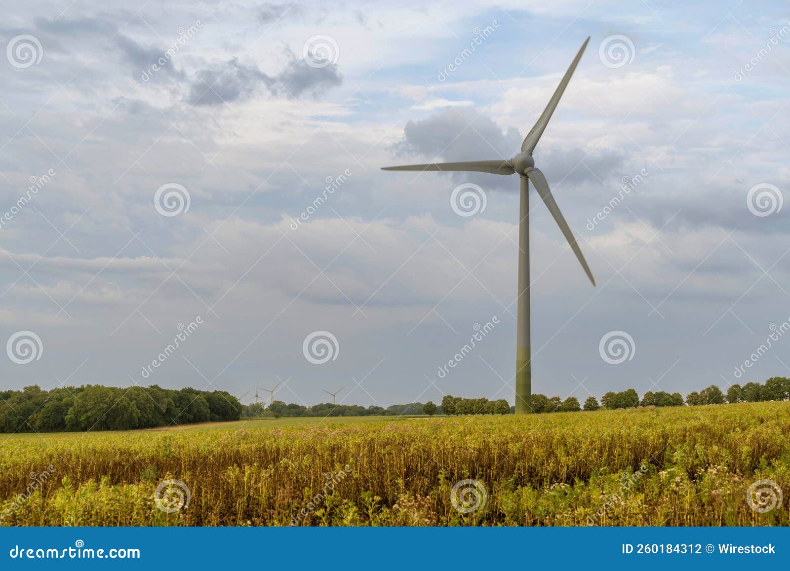 Field of Wind Turbines on a Cloudy Day Stock Photo - Image of wind ...